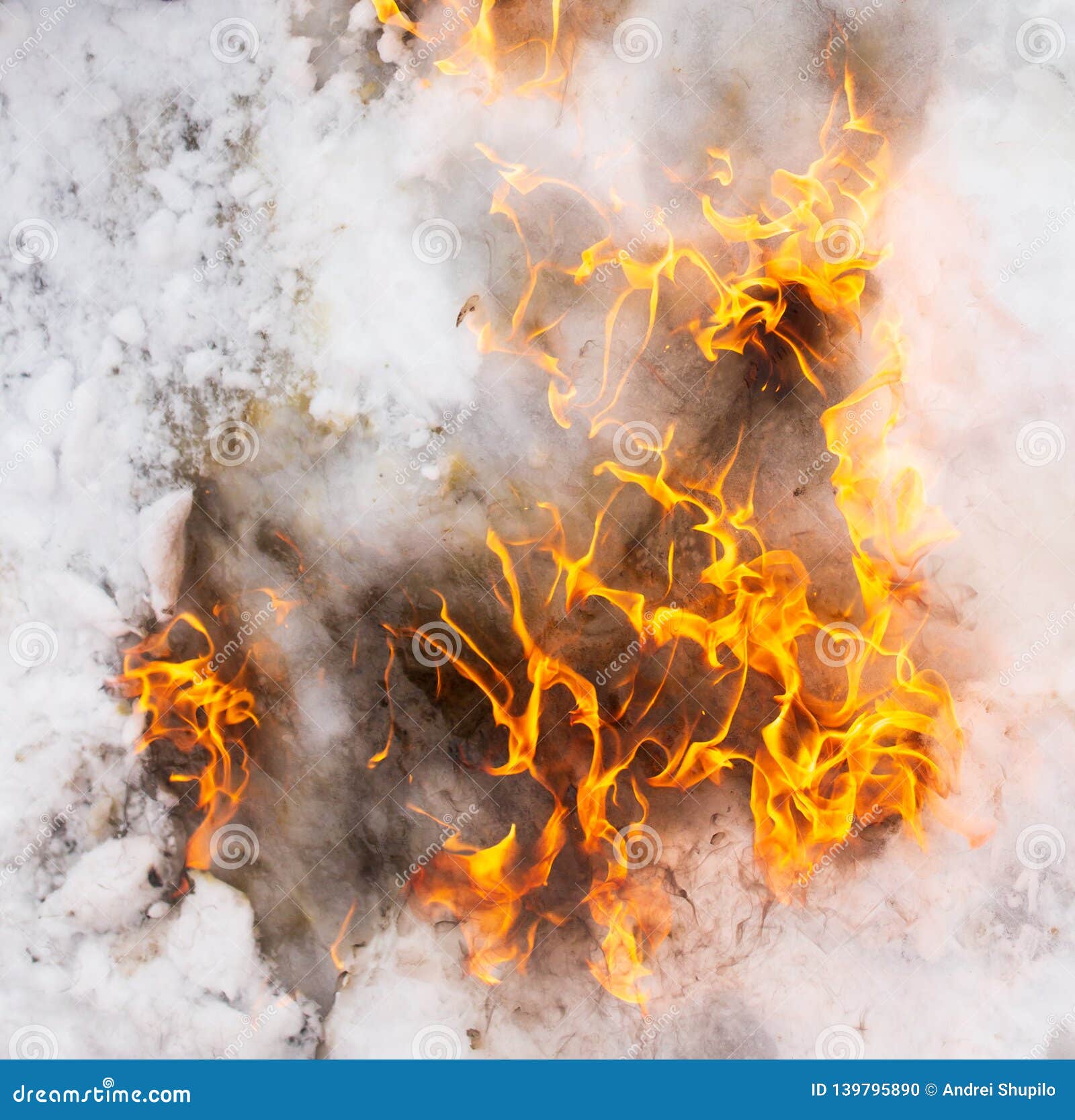 Flame of Fire on White Snow in Winter Stock Photo - Image of spark ...