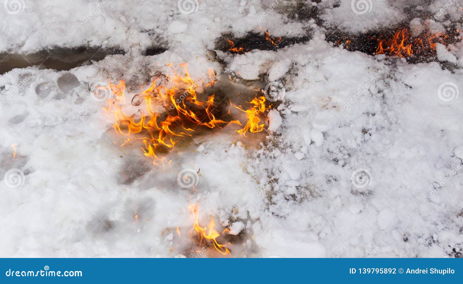 Flame of Fire on White Snow in Winter Stock Photo - Image of spark ...