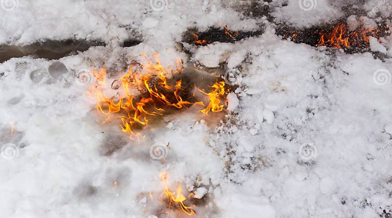 Flame of Fire on White Snow in Winter Stock Photo - Image of spark ...