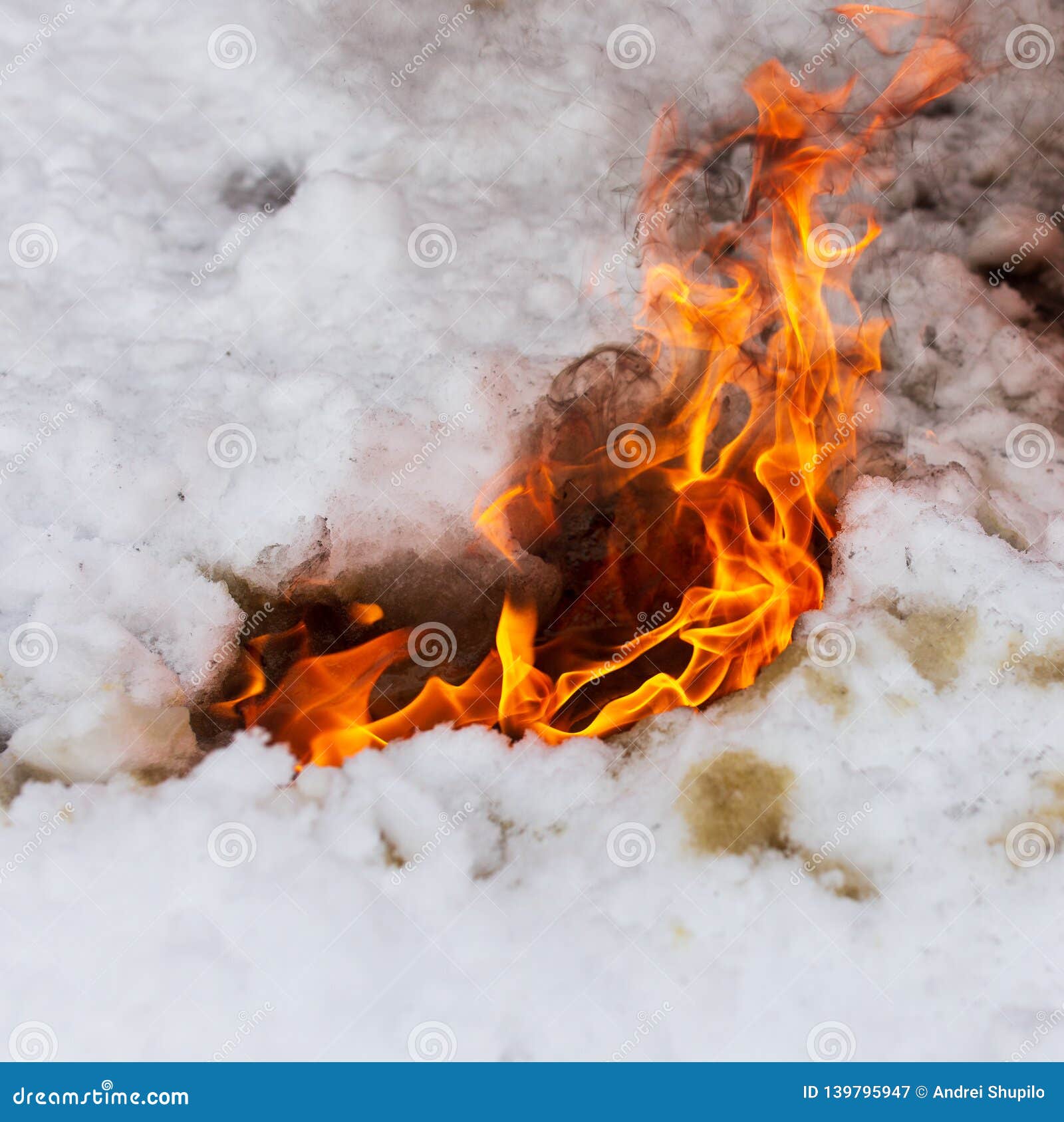 Flame of Fire on White Snow in Winter Stock Image - Image of science ...