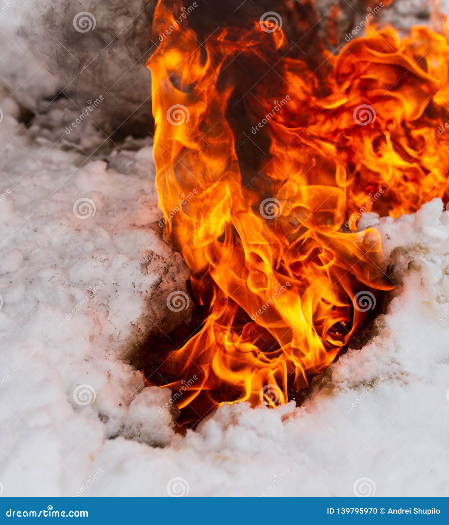 Flame of Fire on White Snow in Winter Stock Photo - Image of design ...