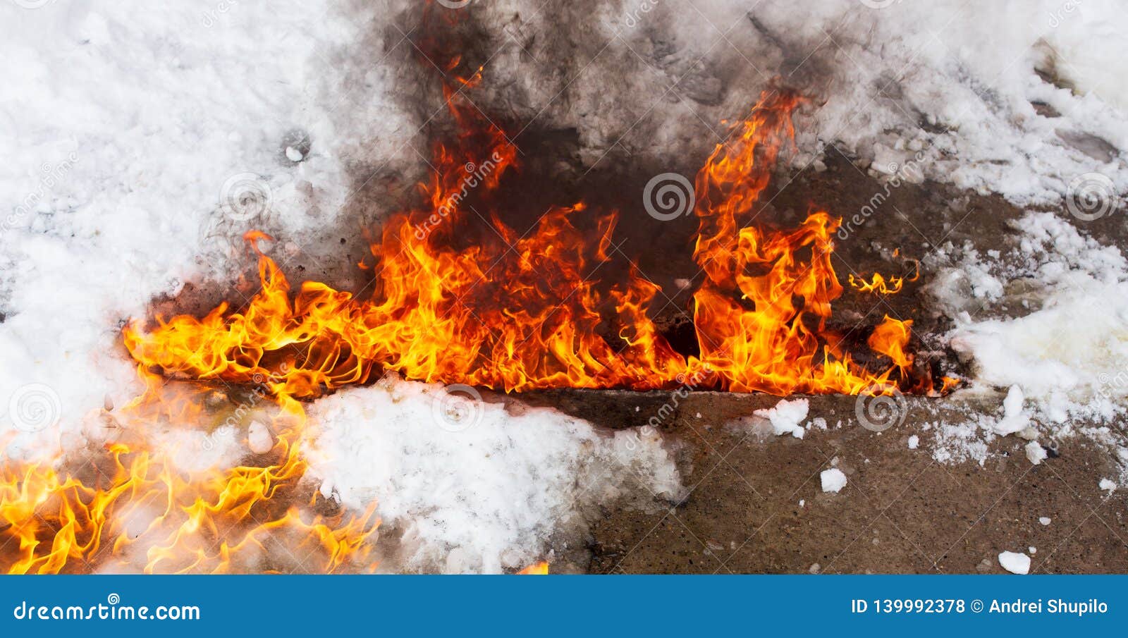 Flame of Fire on White Snow in Winter Stock Photo - Image of background ...