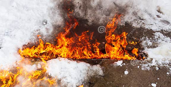Flame of Fire on White Snow in Winter Stock Photo - Image of background ...
