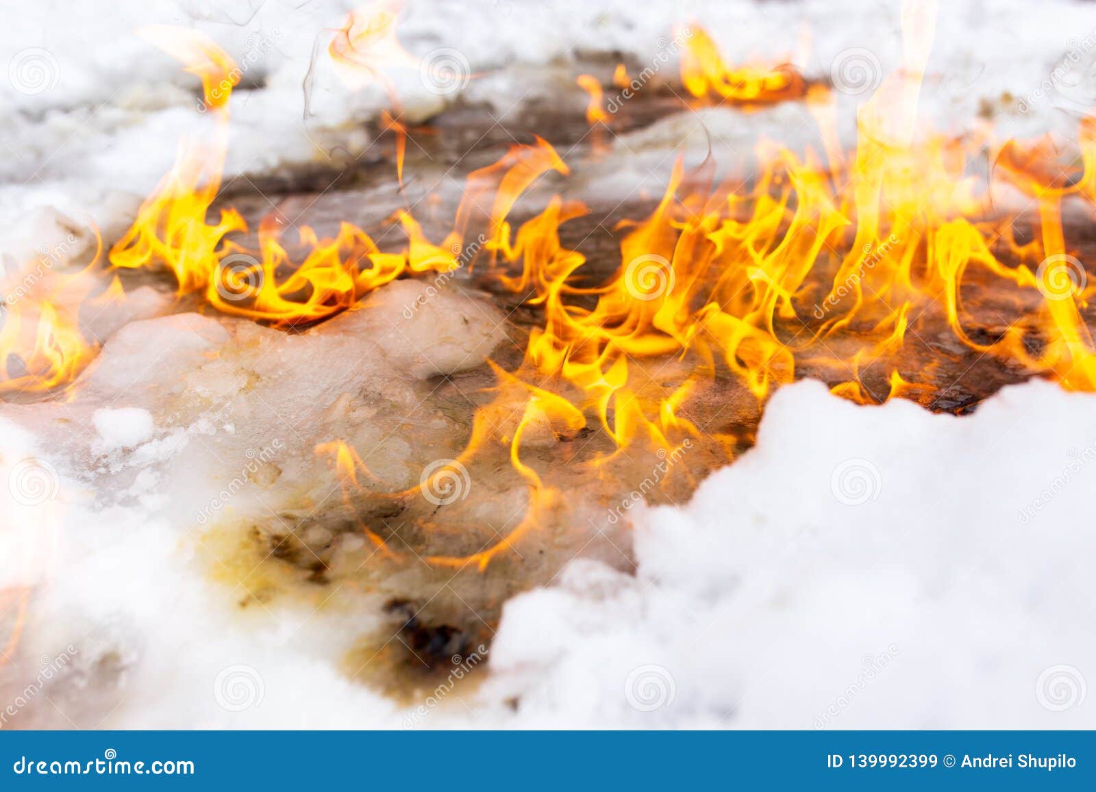 Flame of Fire on White Snow in Winter Stock Image - Image of fire ...