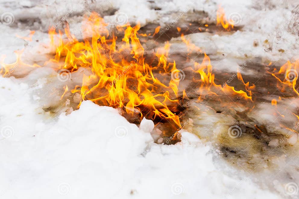 Flame of Fire on White Snow in Winter Stock Image - Image of texture ...