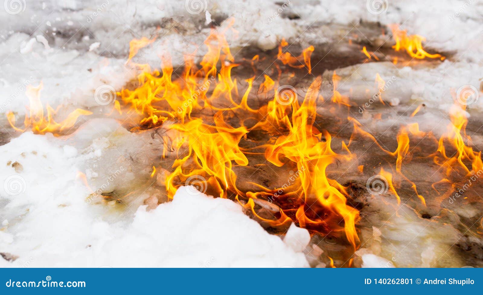 Flame of Fire on White Snow in Winter Stock Image - Image of white ...