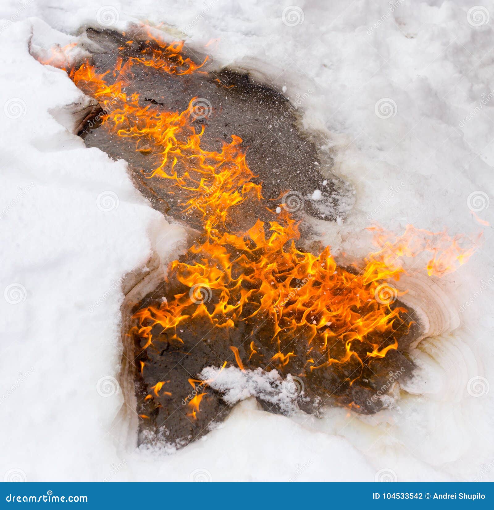 Flame of Fire on White Snow in Winter Stock Photo - Image of physics ...