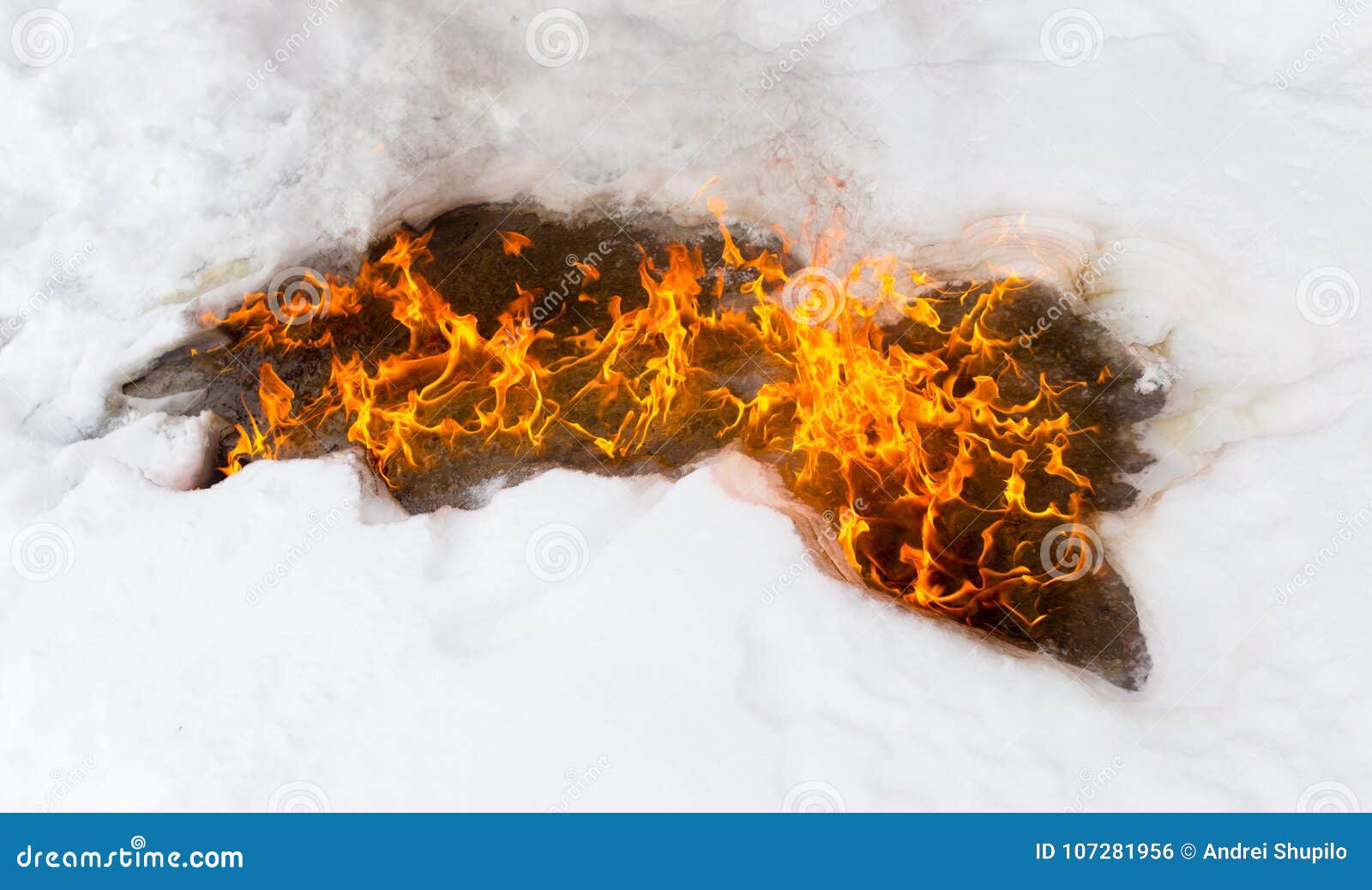 Flame of Fire on White Snow in Winter Stock Photo - Image of white ...
