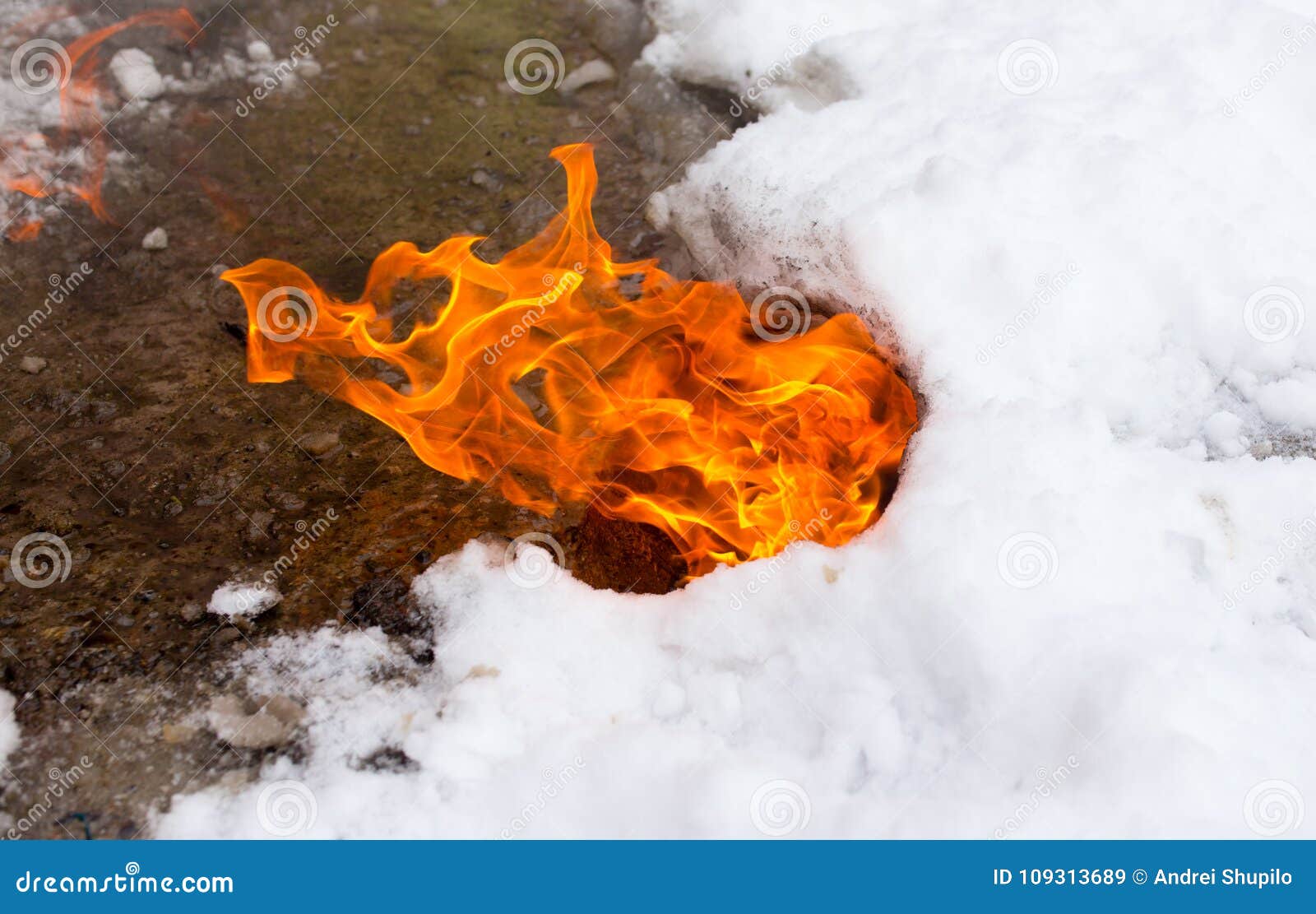 Flame of Fire on White Snow in Winter Stock Image - Image of cold ...