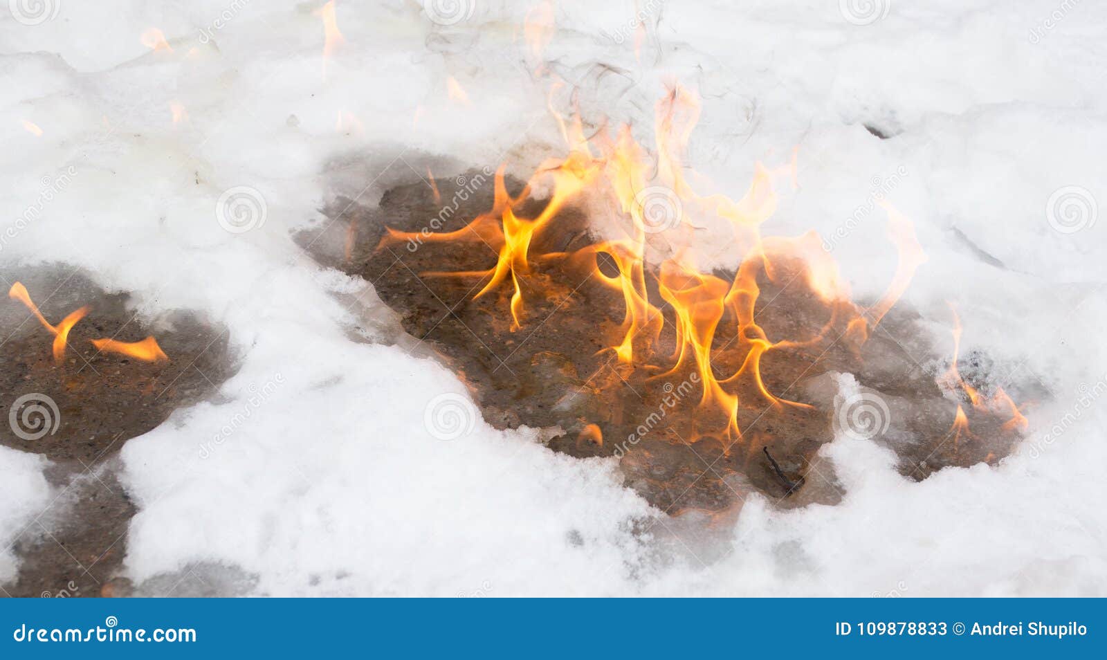 Flame of Fire on White Snow in Winter Stock Image - Image of beautiful ...