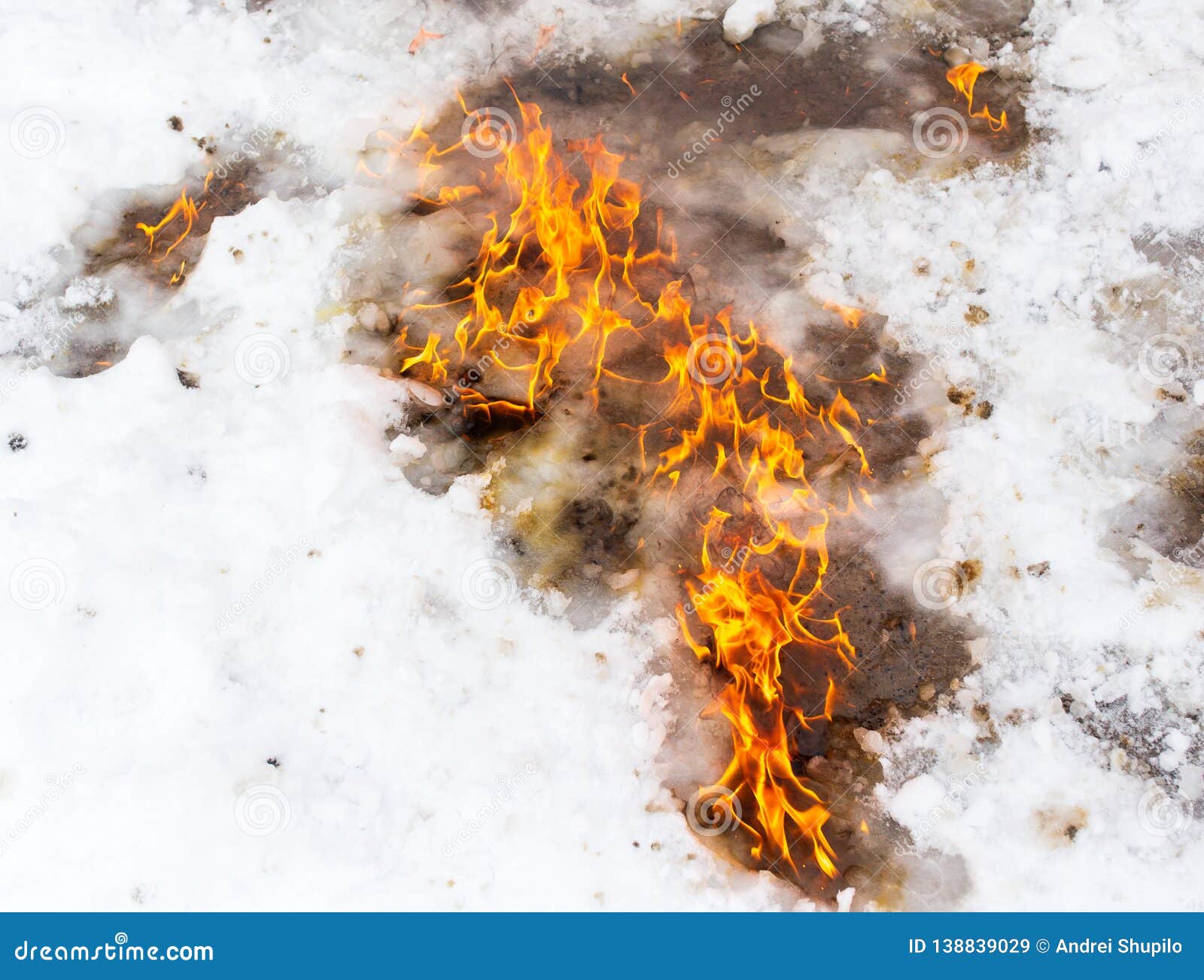 Flame of Fire on White Snow in Winter Stock Image - Image of snow ...