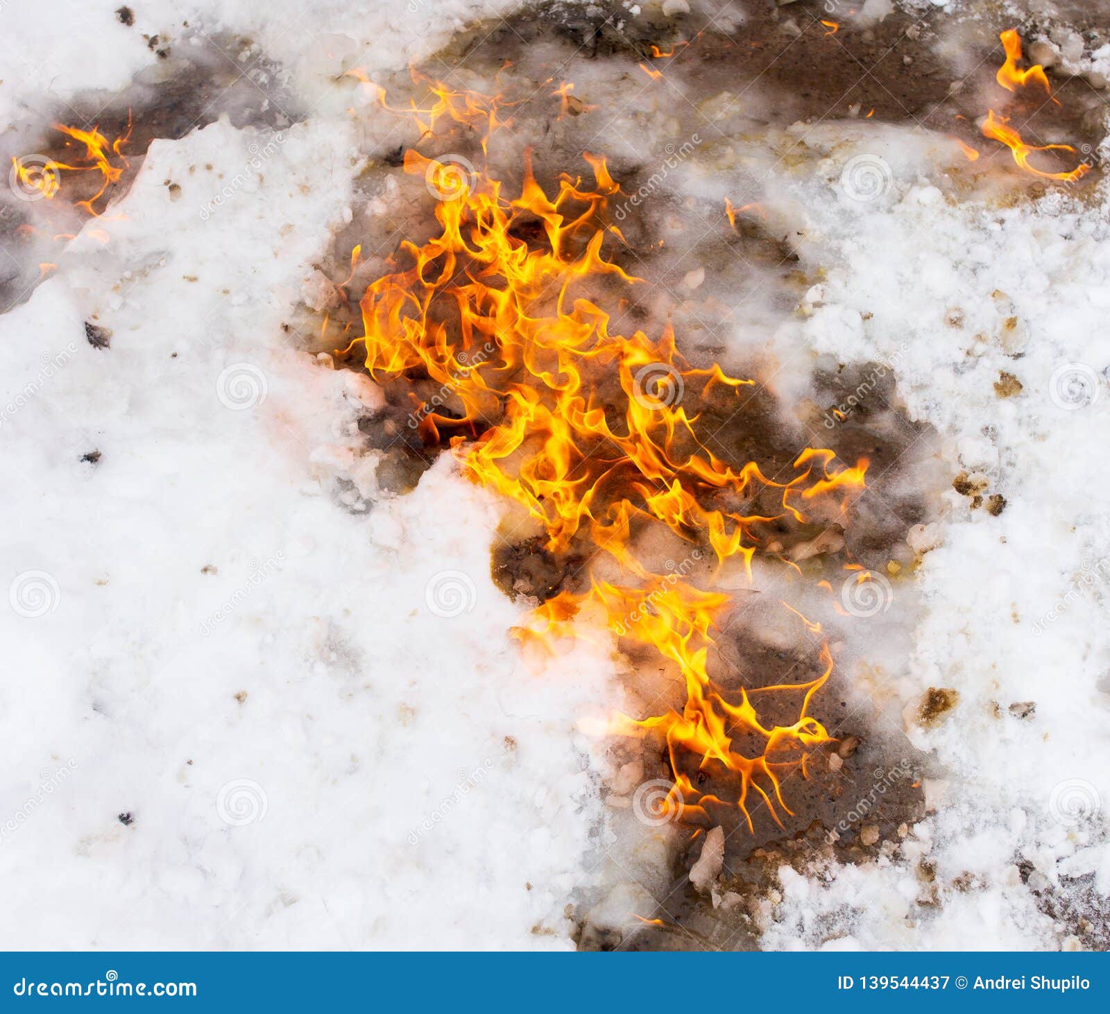 Flame of Fire on White Snow in Winter Stock Image - Image of fiery ...