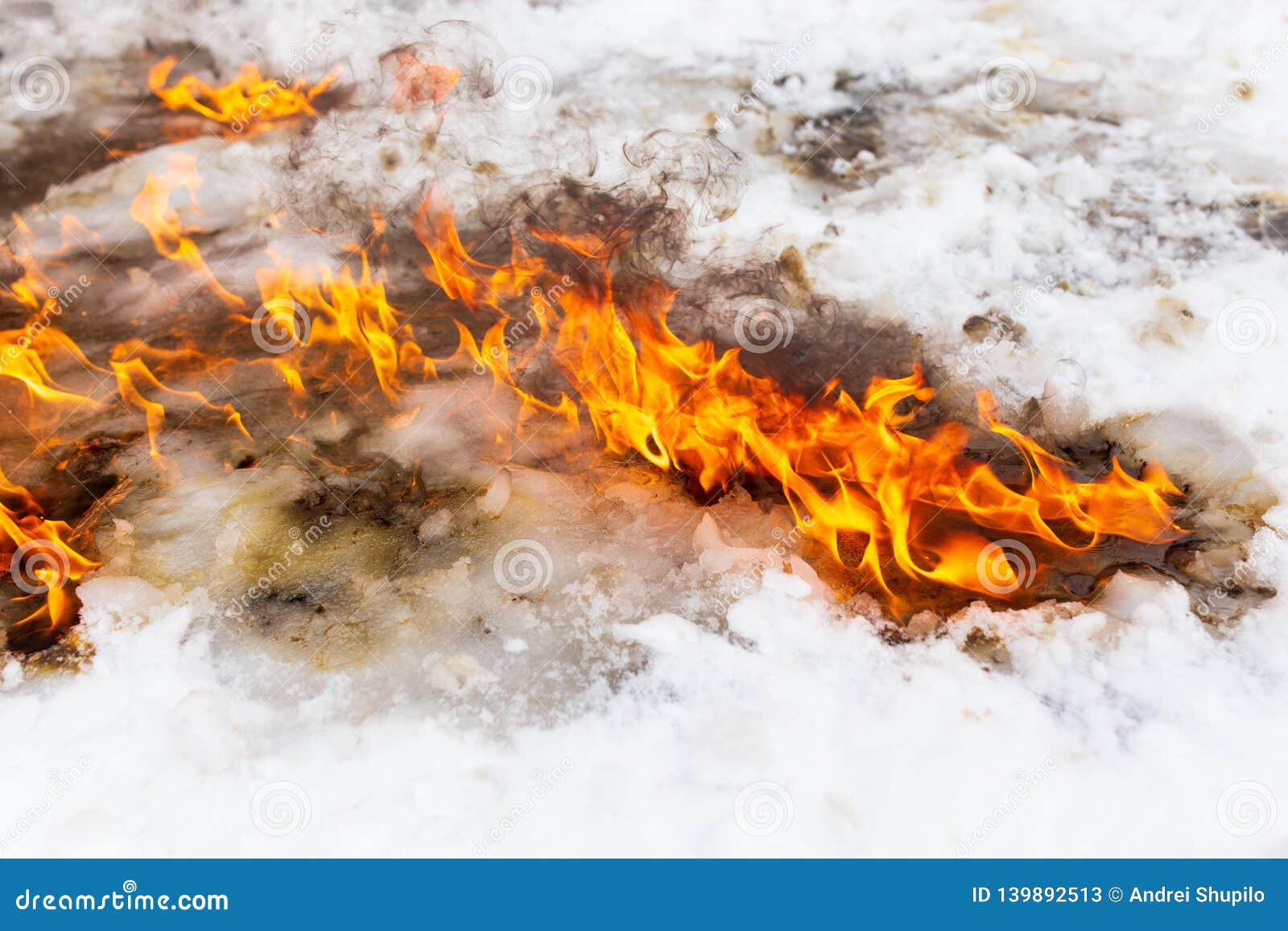 Flame of Fire on White Snow in Winter Stock Image - Image of chemistry ...