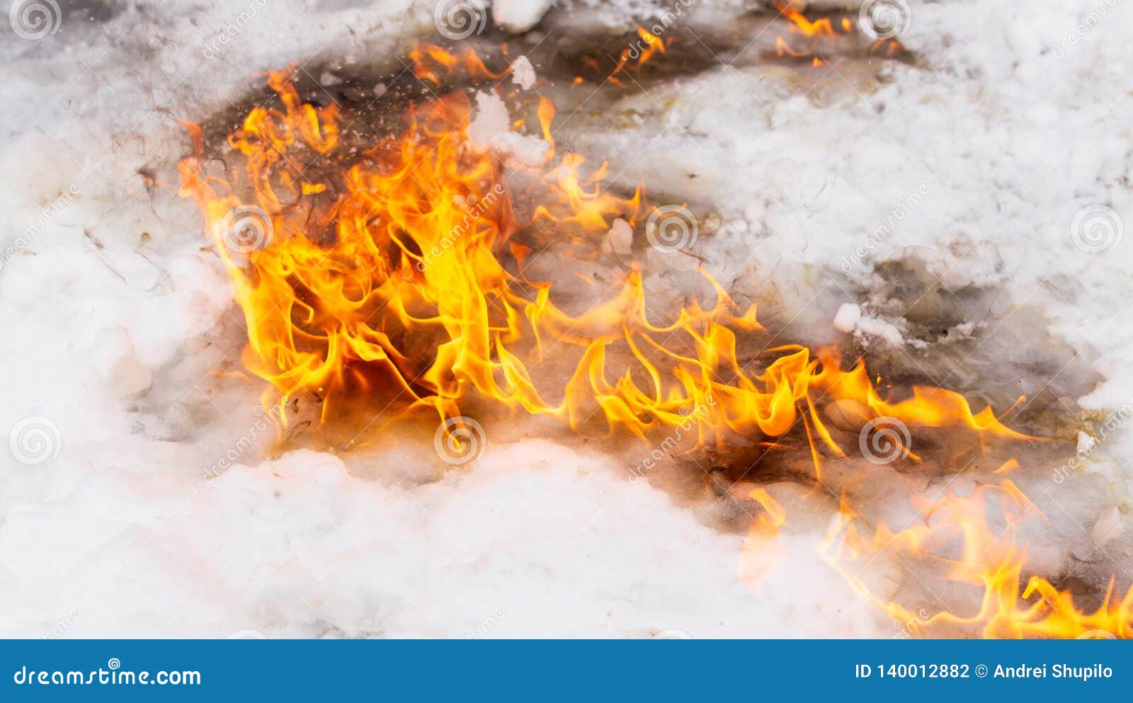Flame of Fire on White Snow in Winter Stock Photo - Image of white ...