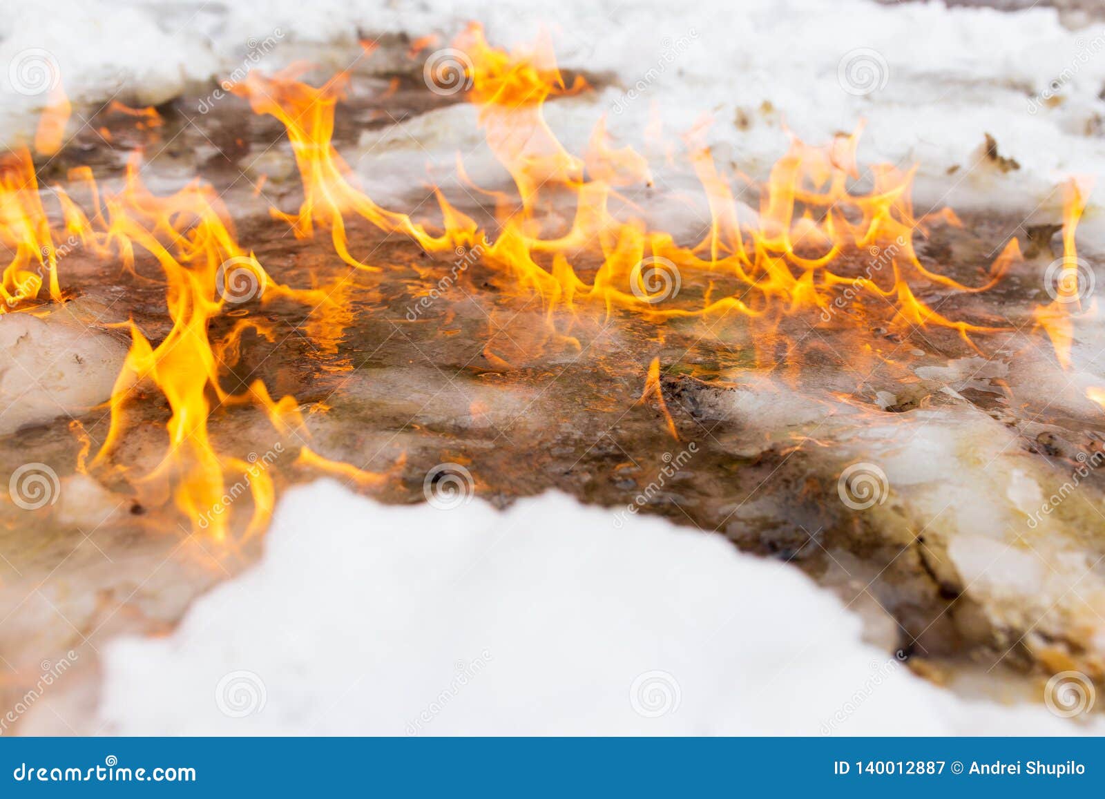 Flame of Fire on White Snow in Winter Stock Image - Image of yellow ...