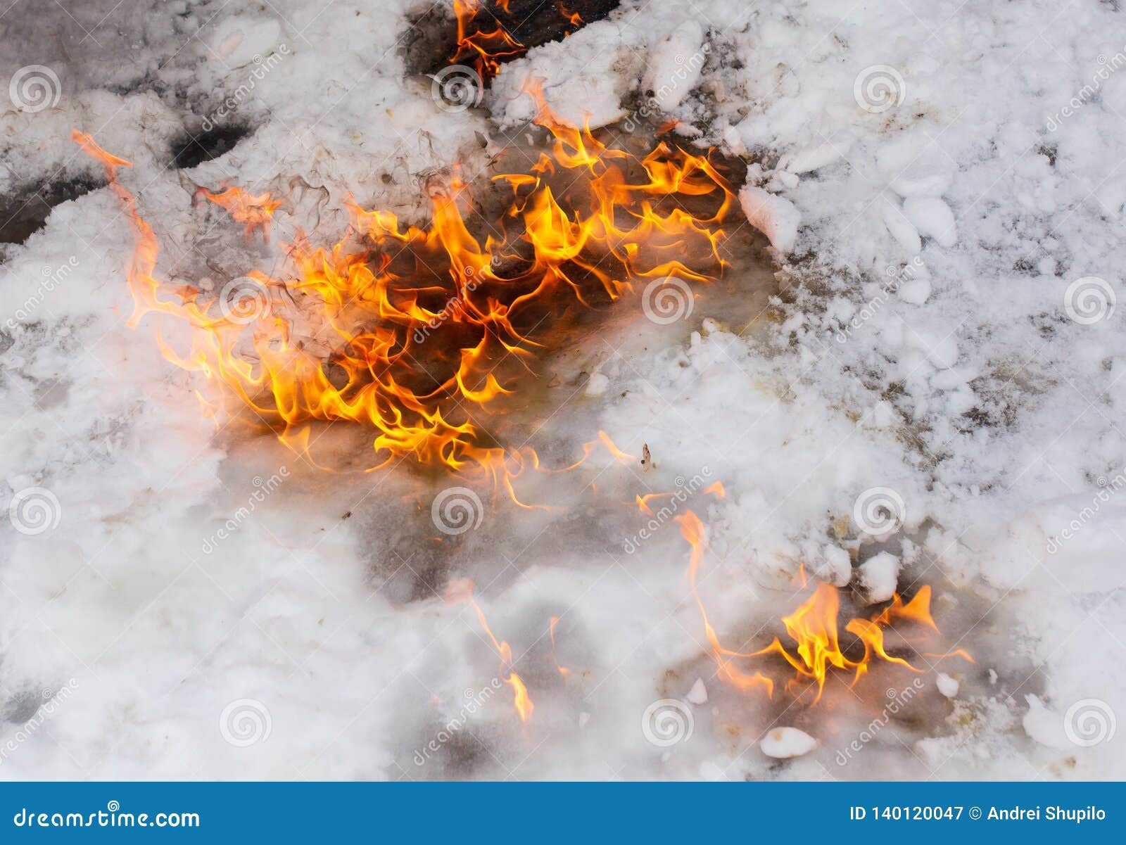 Flame of Fire on White Snow in Winter Stock Image - Image of white ...