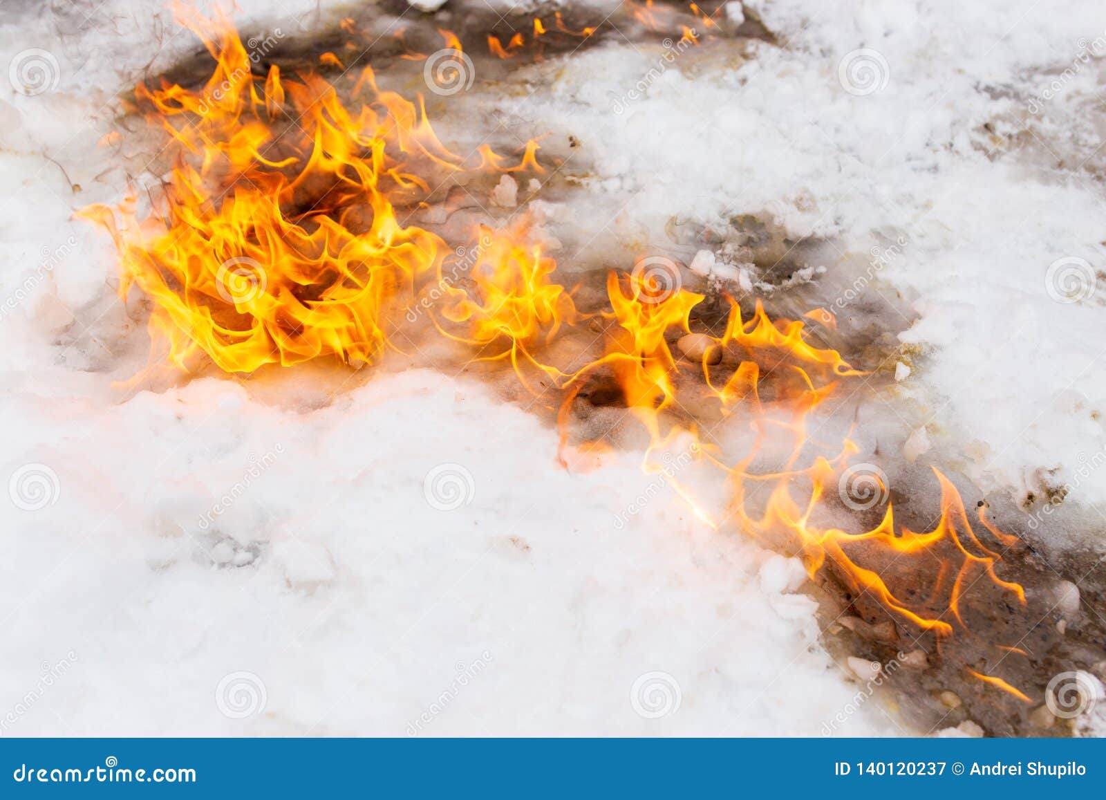 Flame of Fire on White Snow in Winter Stock Image - Image of fiery ...