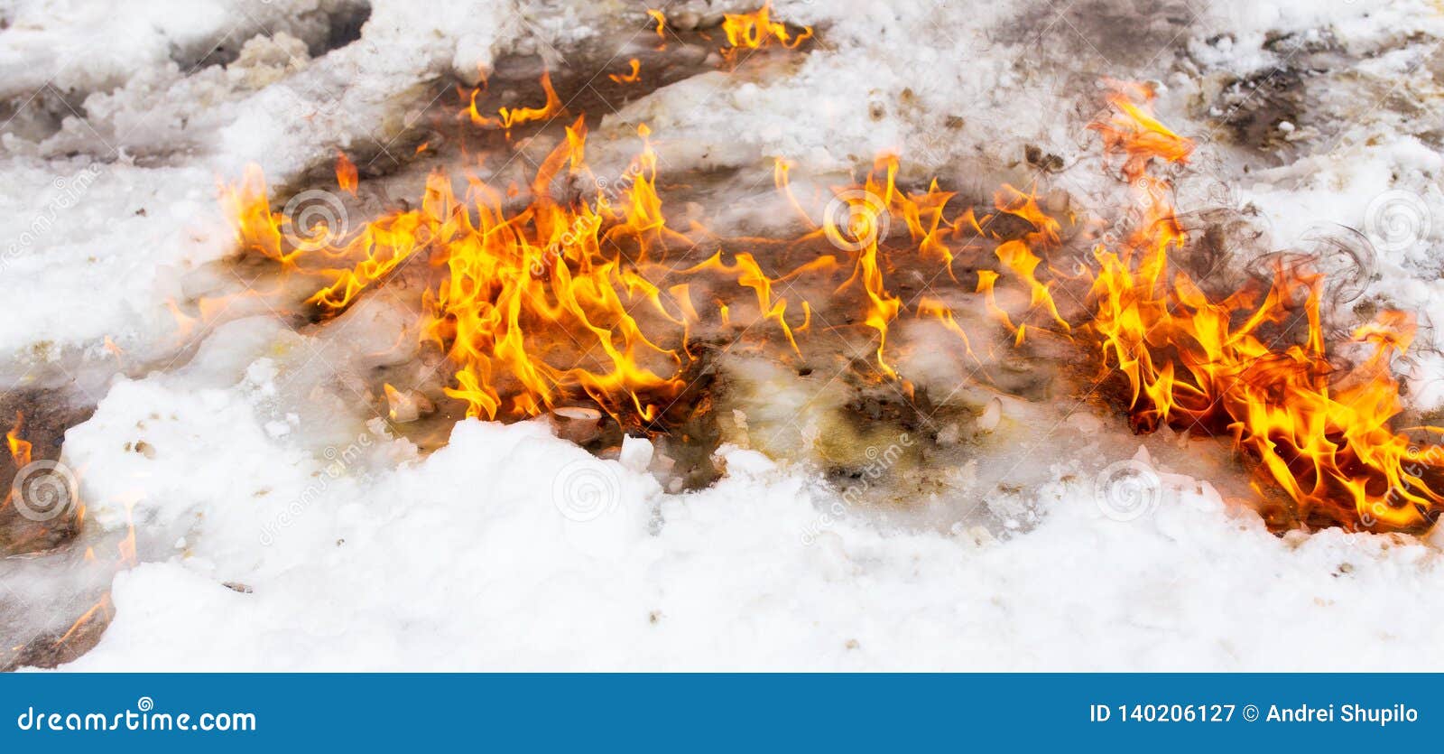 Flame of Fire on White Snow in Winter Stock Image - Image of natural ...