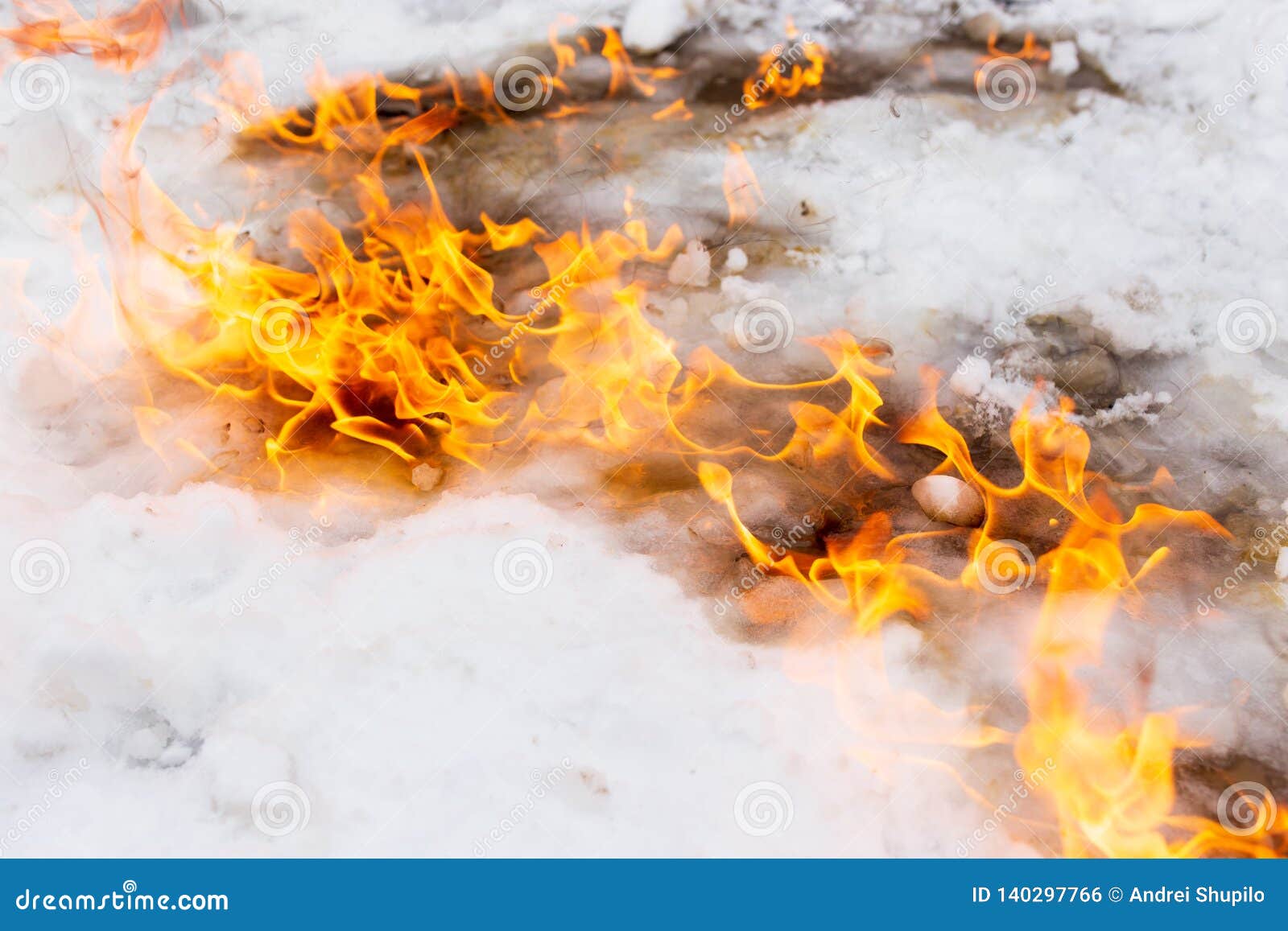 Flame of Fire on White Snow in Winter Stock Photo - Image of flame ...