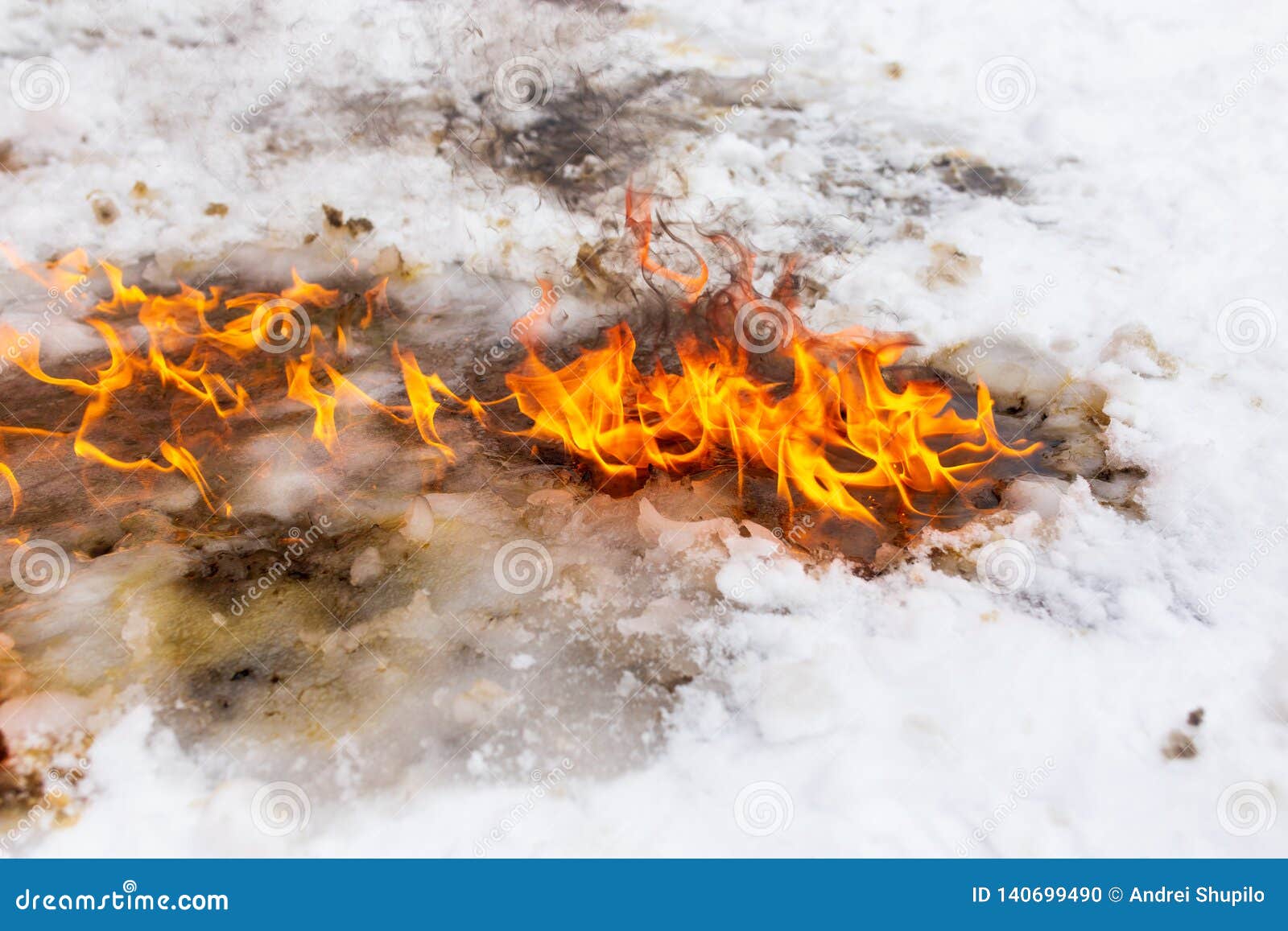 Flame of Fire on White Snow in Winter Stock Photo - Image of accident ...