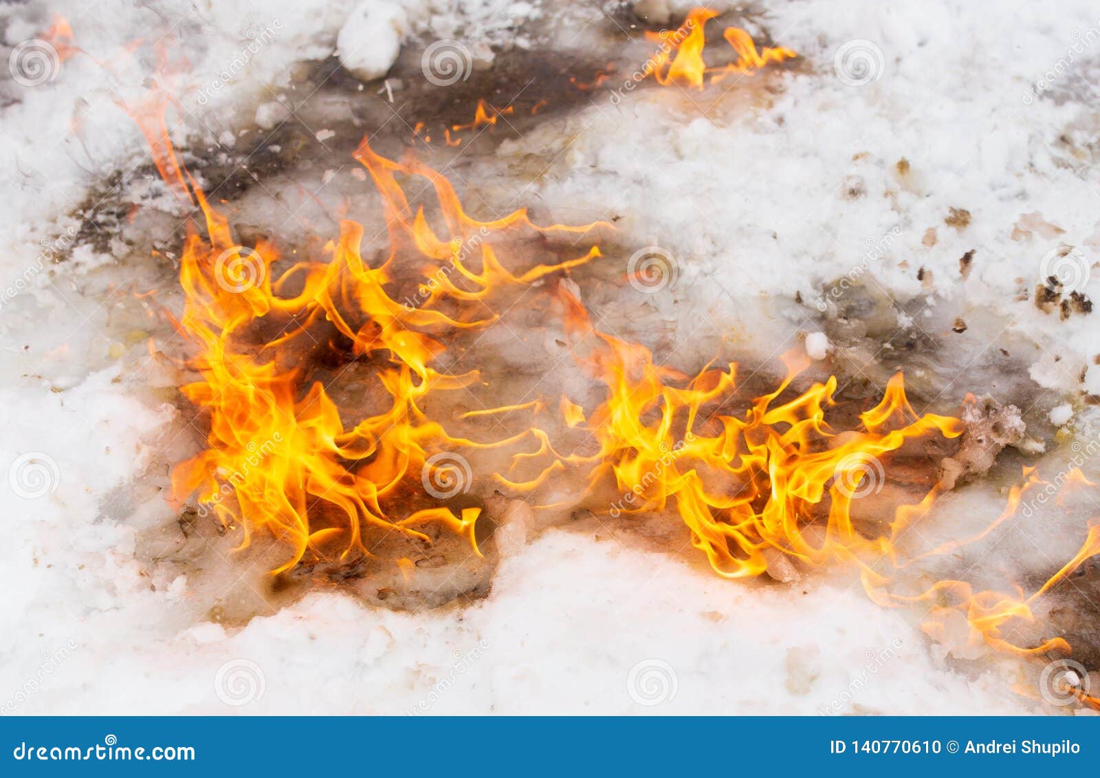 Flame of Fire on White Snow in Winter Stock Photo - Image of texture ...
