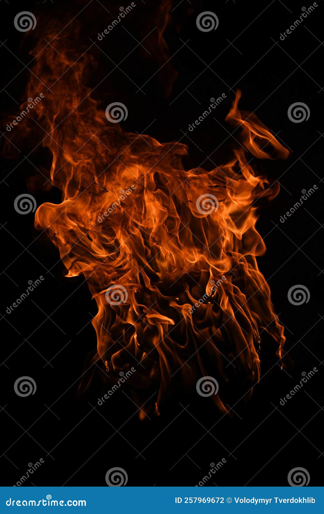 Flame Fires. Burn Lights on a Black Background. Fire Flames on Black ...