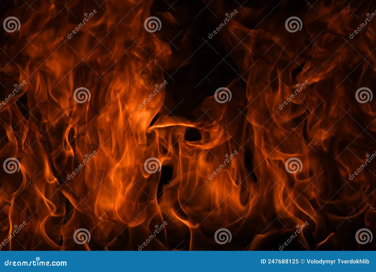 Flame Fires. Burn Lights on a Black Background. Fire Flames on Black ...