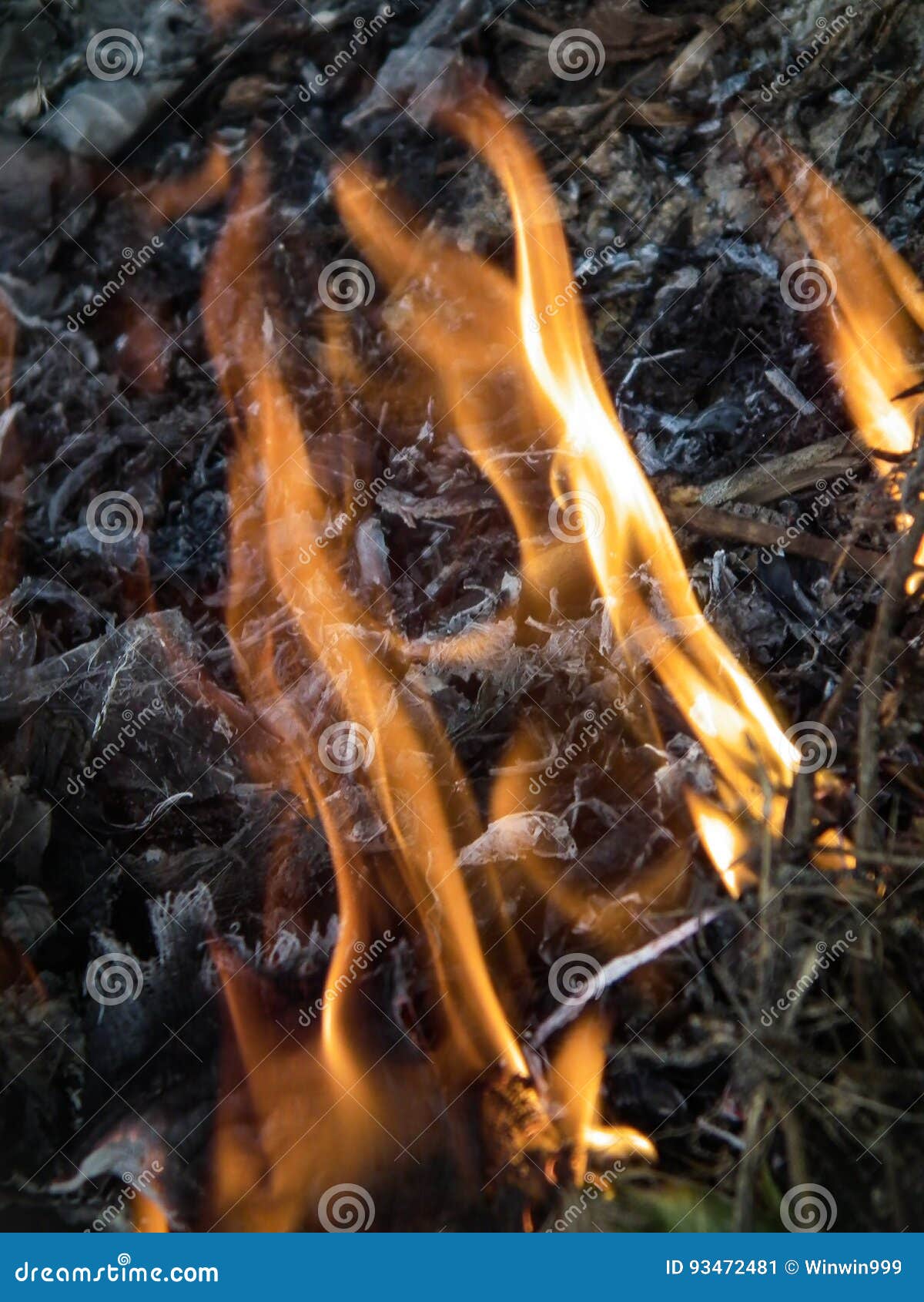 Flame is the Power of Burning. Stock Image - Image of power, flame ...
