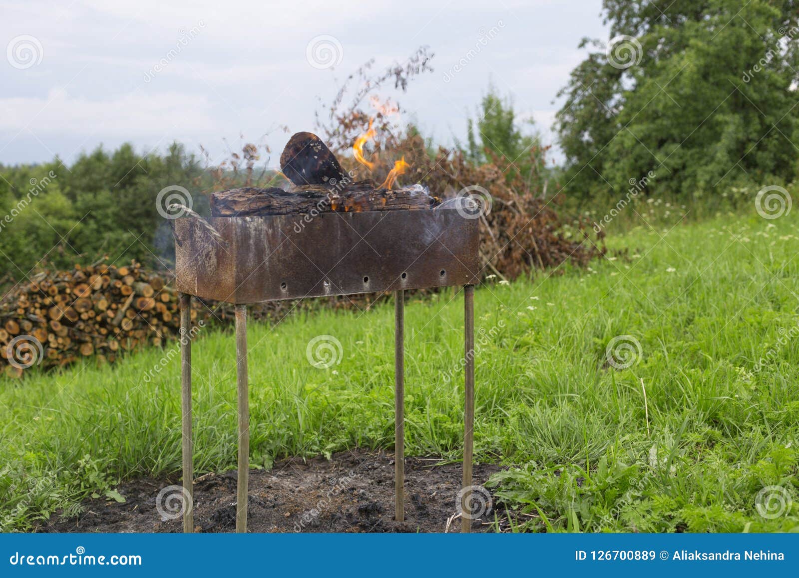 Flame of Firewood Burning in a Brazier in the Open Air Stock Image ...