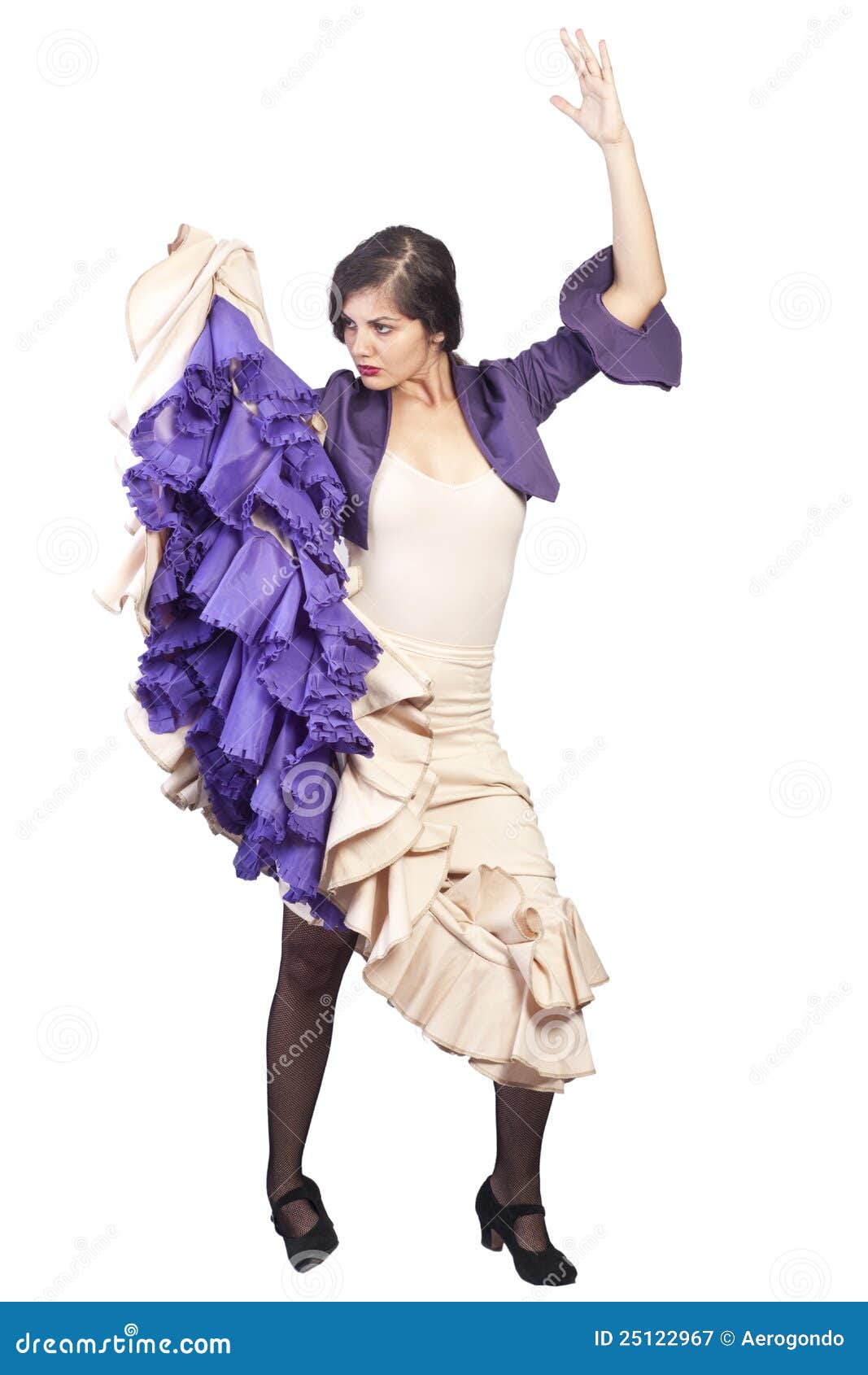 Flamenco pose stock image. Image of expression, culture - 25122967
