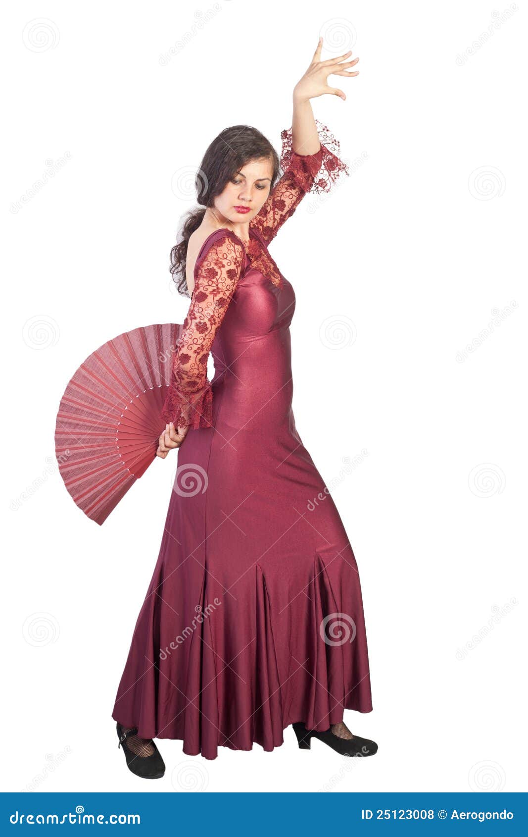 Flamenco pose stock photo. Image of healthy, lifestyle - 25123008