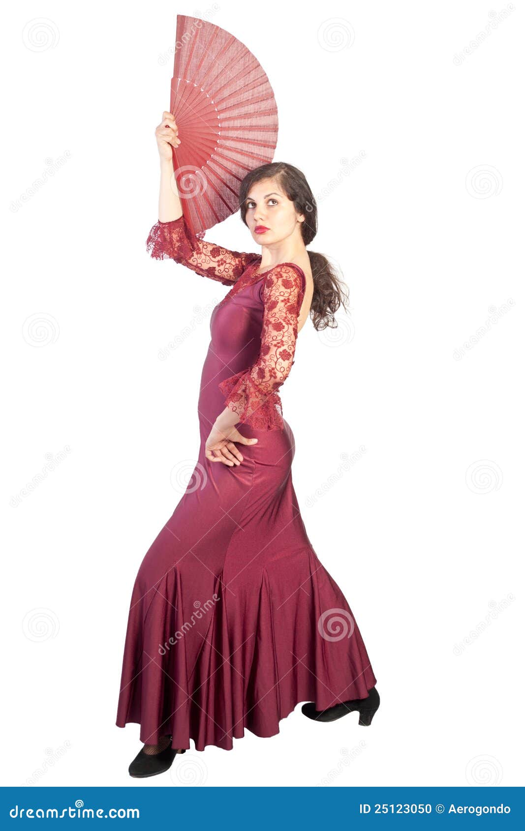 Flamenco pose stock photo. Image of culture, enjoyment - 25123050