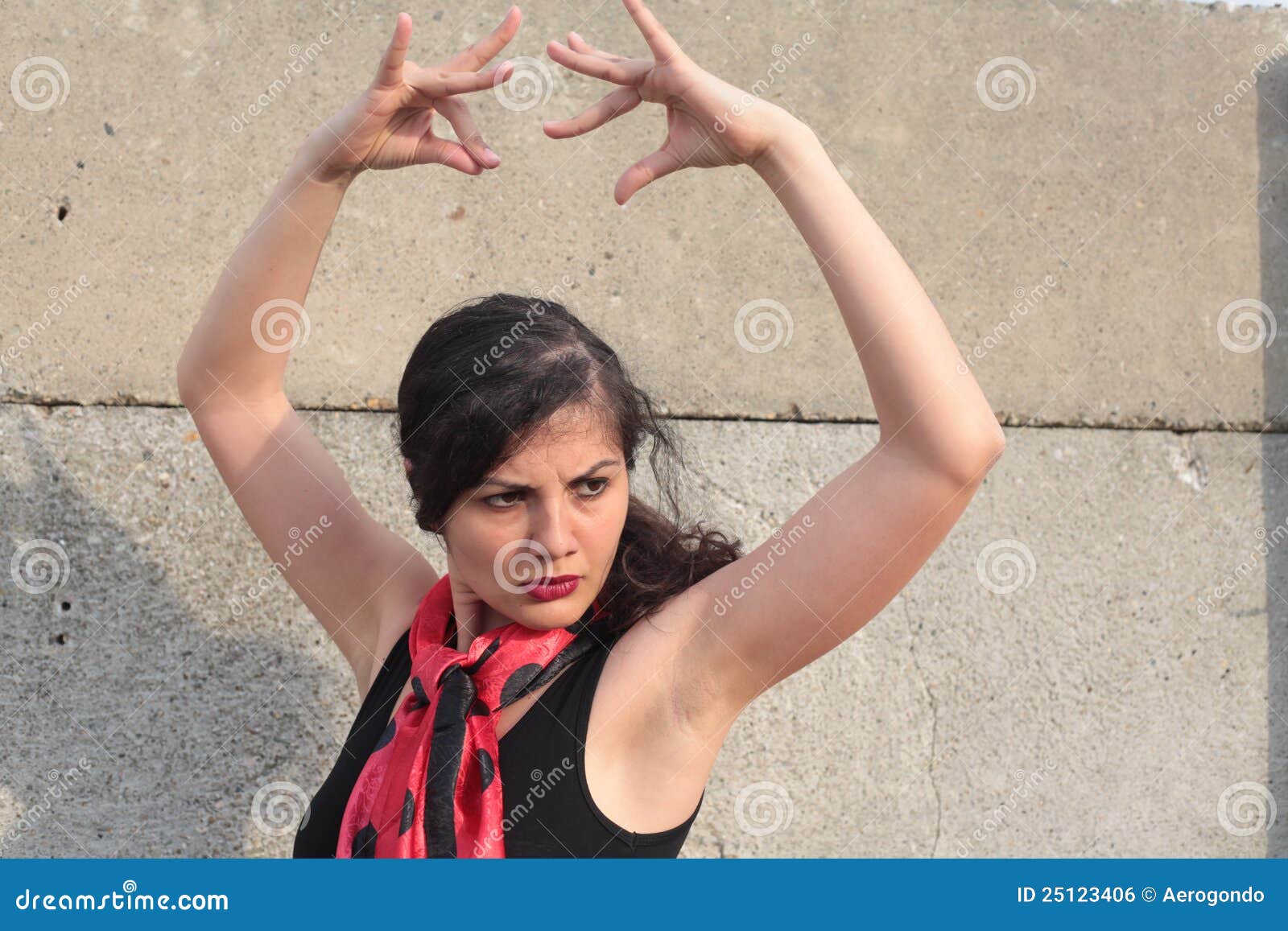 Flamenco pose stock photo. Image of performer, festival - 25123406