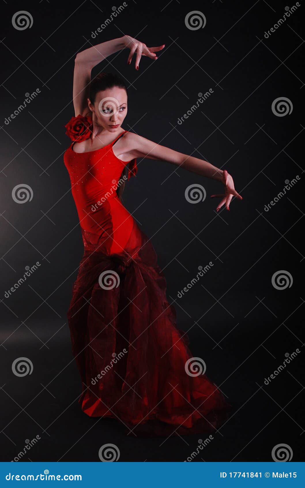 Flamenco Woman Dancer in Pose Stock Image - Image of dark, dance: 17741841