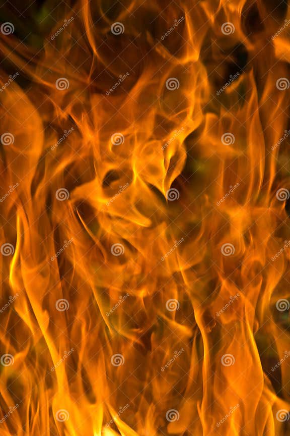 Flames stock photo. Image of abstract, combustion, heat - 20945404