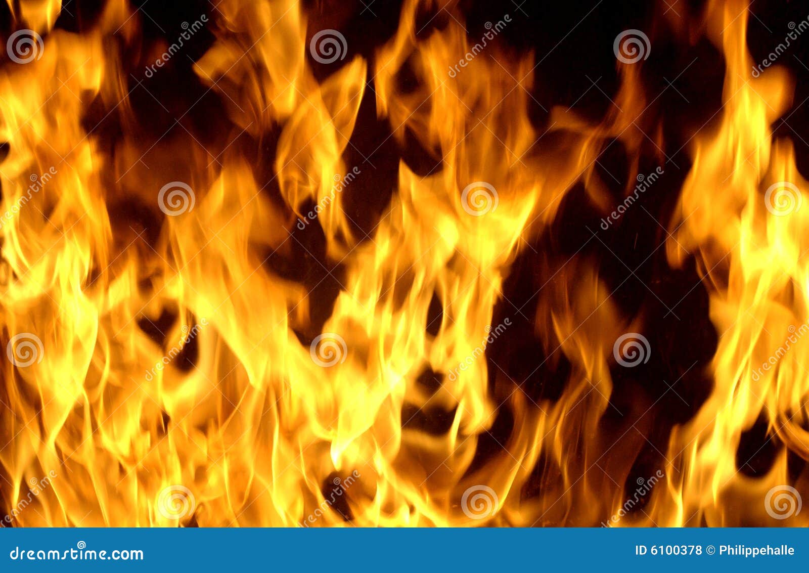 Flames stock photo. Image of fire, flames, heat, burn - 6100378