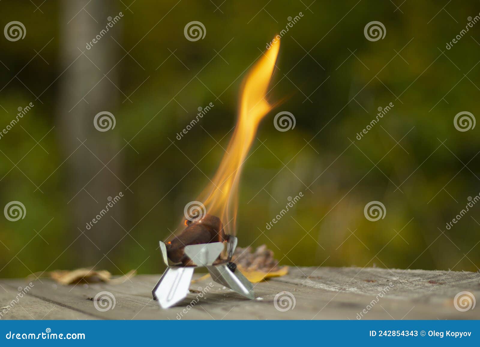Flames from Alcohol. Burning Dry Alcohol. Object for Heating Substances ...