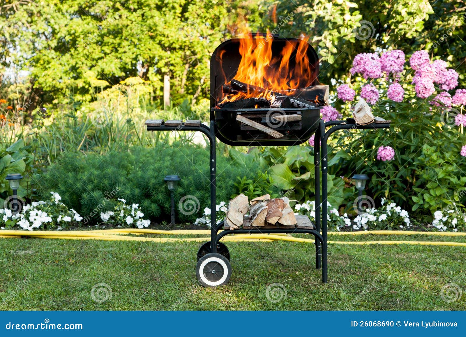 Flames in a barbecue stock photo. Image of lawn, cooking - 26068690
