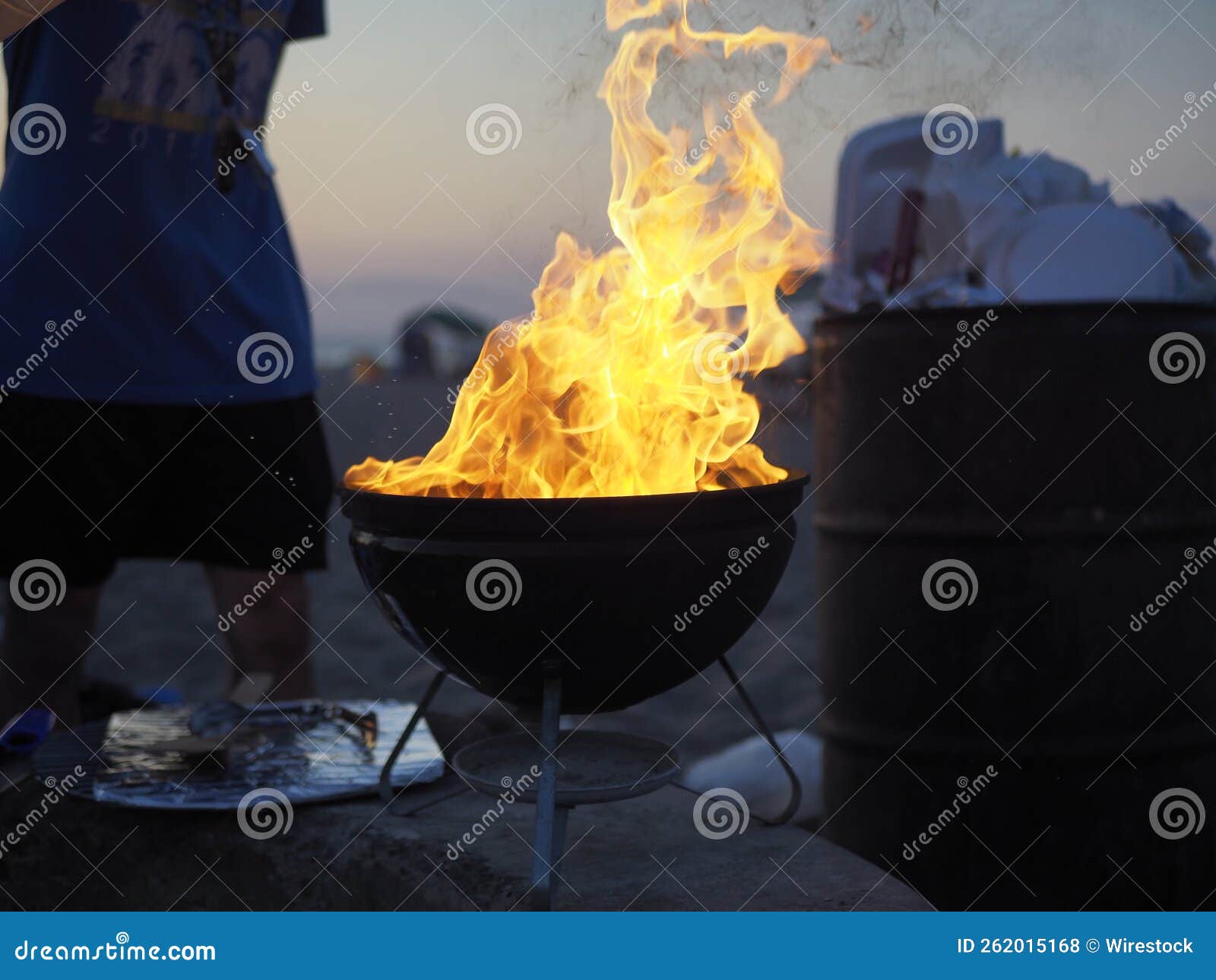 Flames of the Bonfire in a Bowl Near the Garbage Bin Stock Photo ...