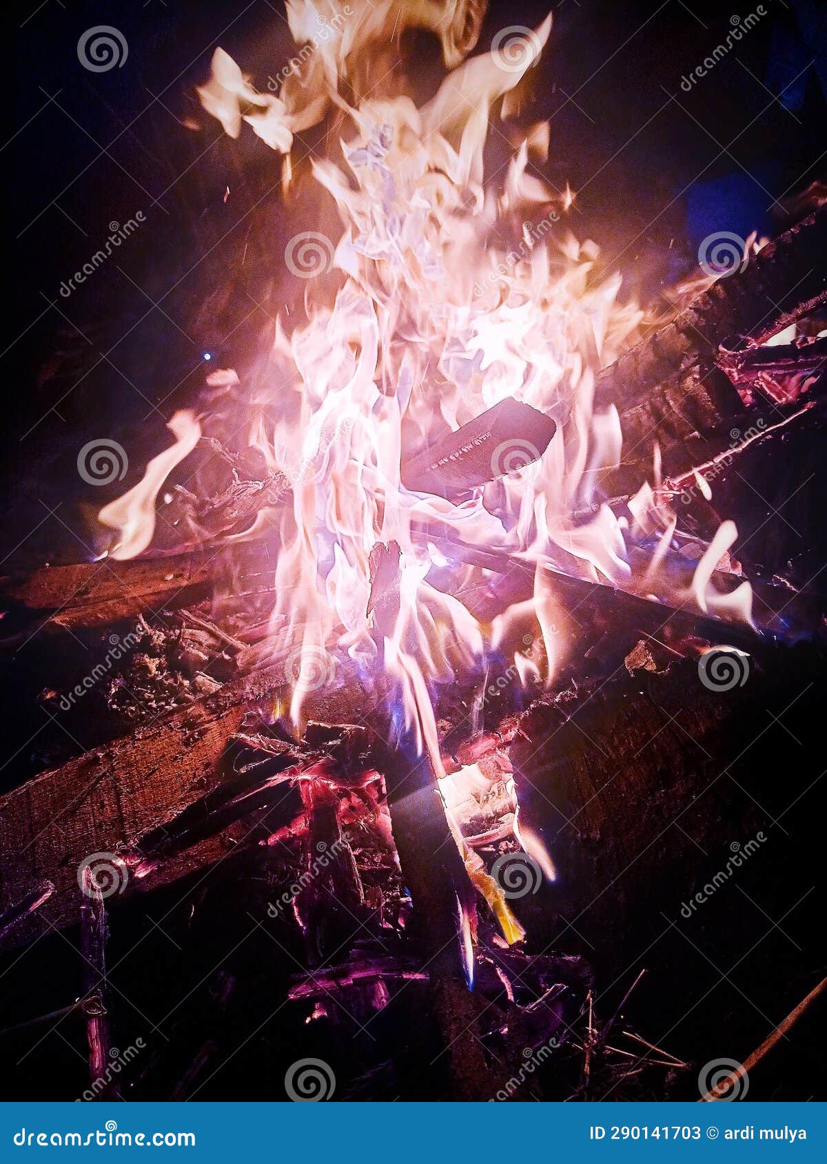 The Flames Burned Wood and Tree Branches Stock Image - Image of fire ...