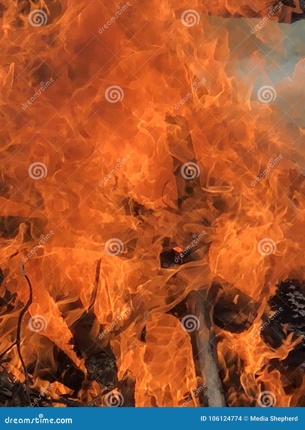 Intense fire stock photo. Image of burning, flames, fire - 106124774