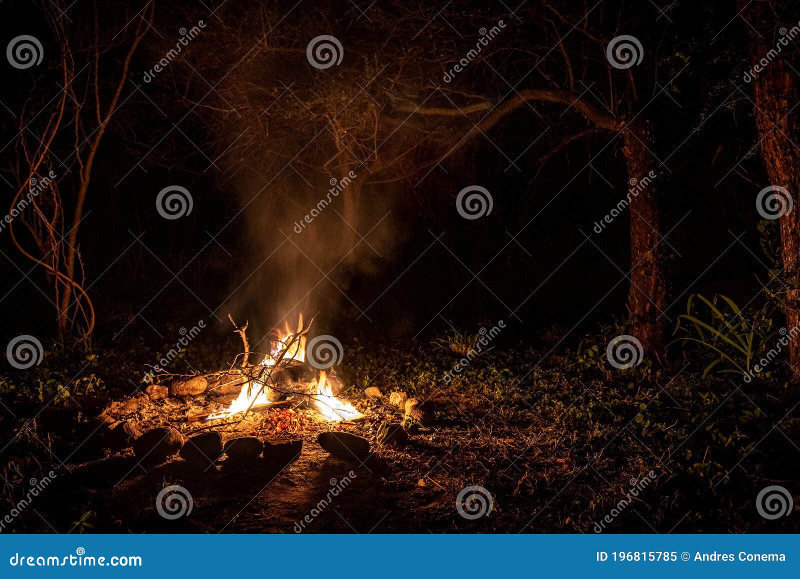 Flames of a Campfire at Night in a Dark Spooky Forest Surrounded by ...