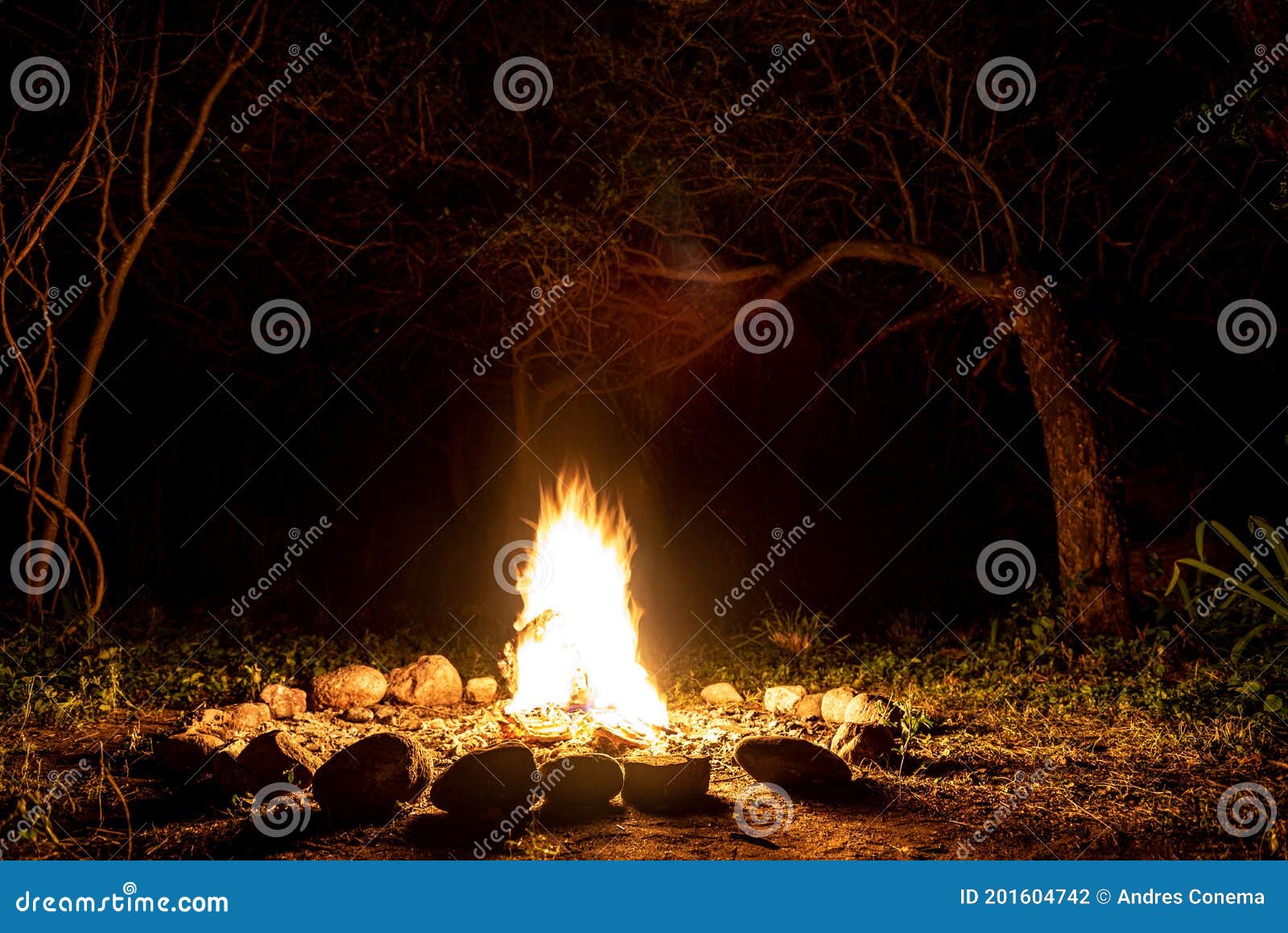 Flames of a Campfire at Night in a Dark Spooky Forest Surrounded by ...