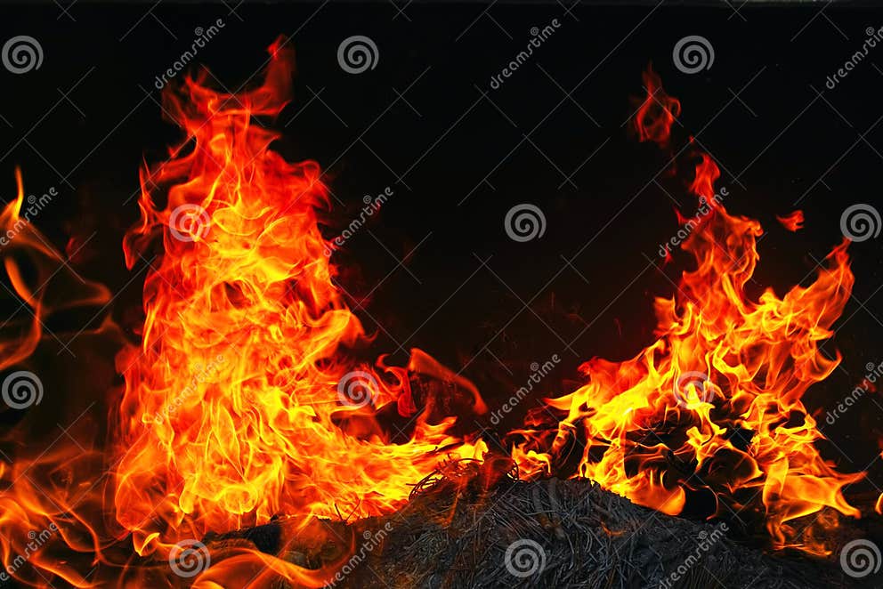 Flames stock photo. Image of blazes, kindle, flame, closeup - 33710018