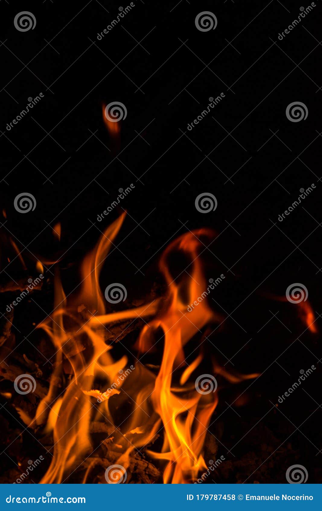 Burning Woods Yellow Flames Stock Photo - Image of fire, bright: 179787458