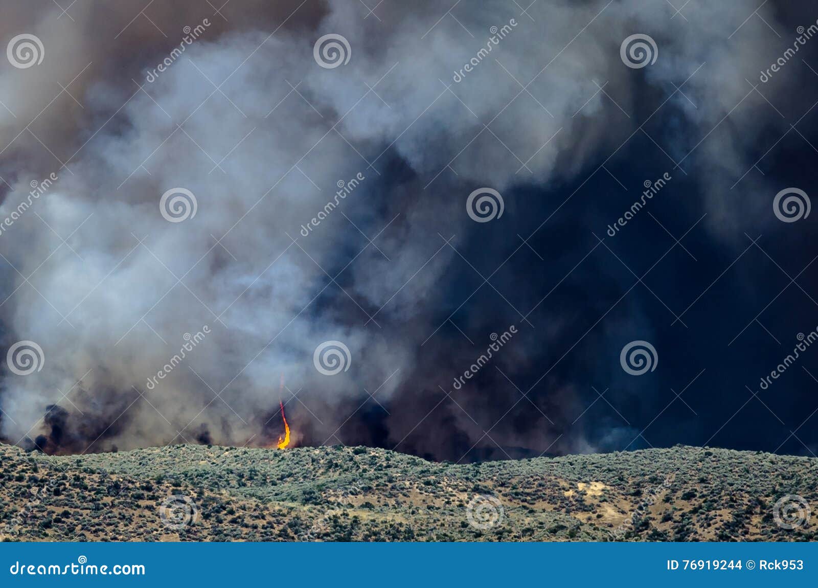 Flames and Dense White Smoke Rising from the Raging Wildfire Stock ...