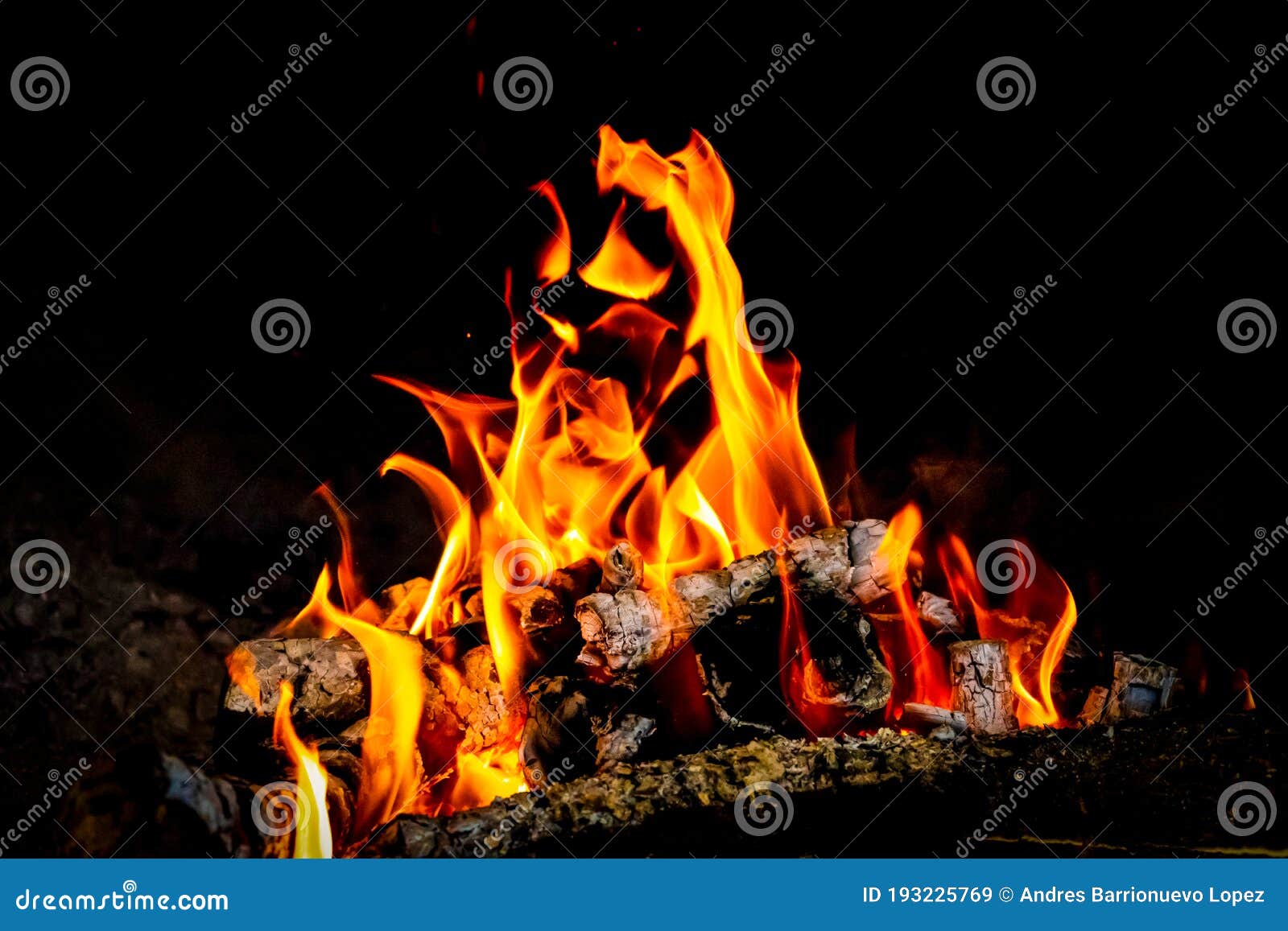 Flames in Different Forms of a Bonfire Made with Orange Tree Trunks ...