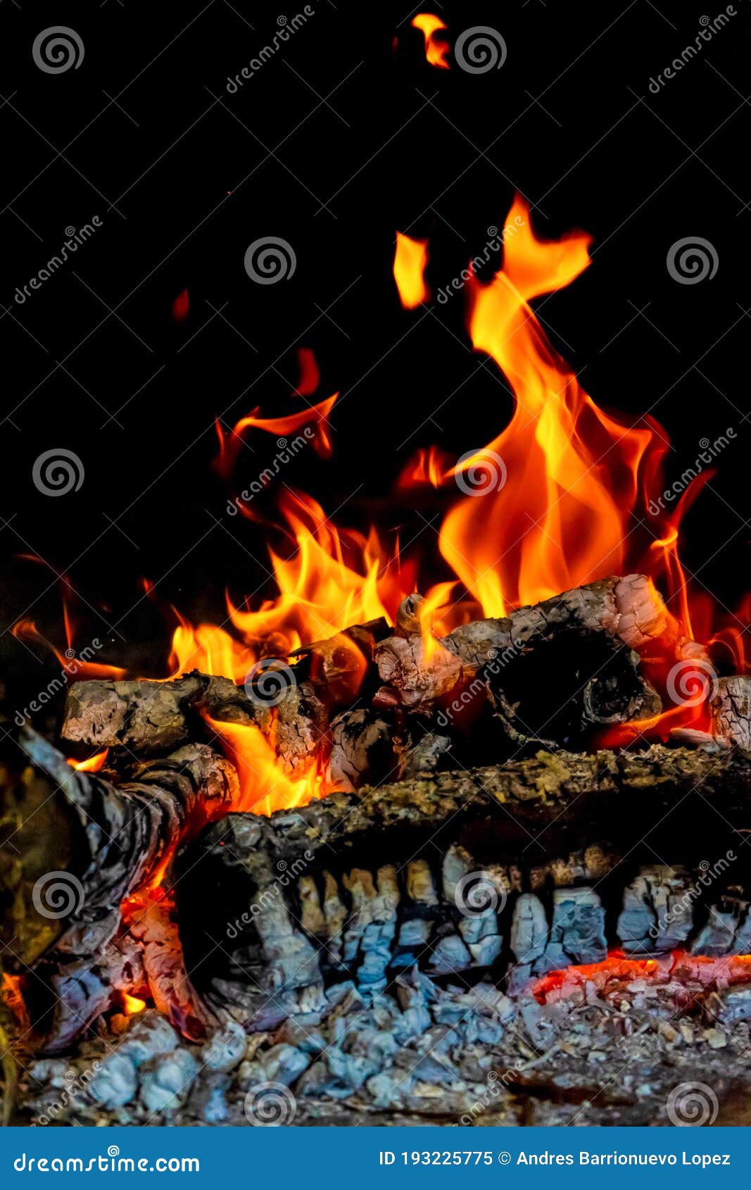 Flames in Different Forms of a Bonfire Made with Orange Tree Trunks ...