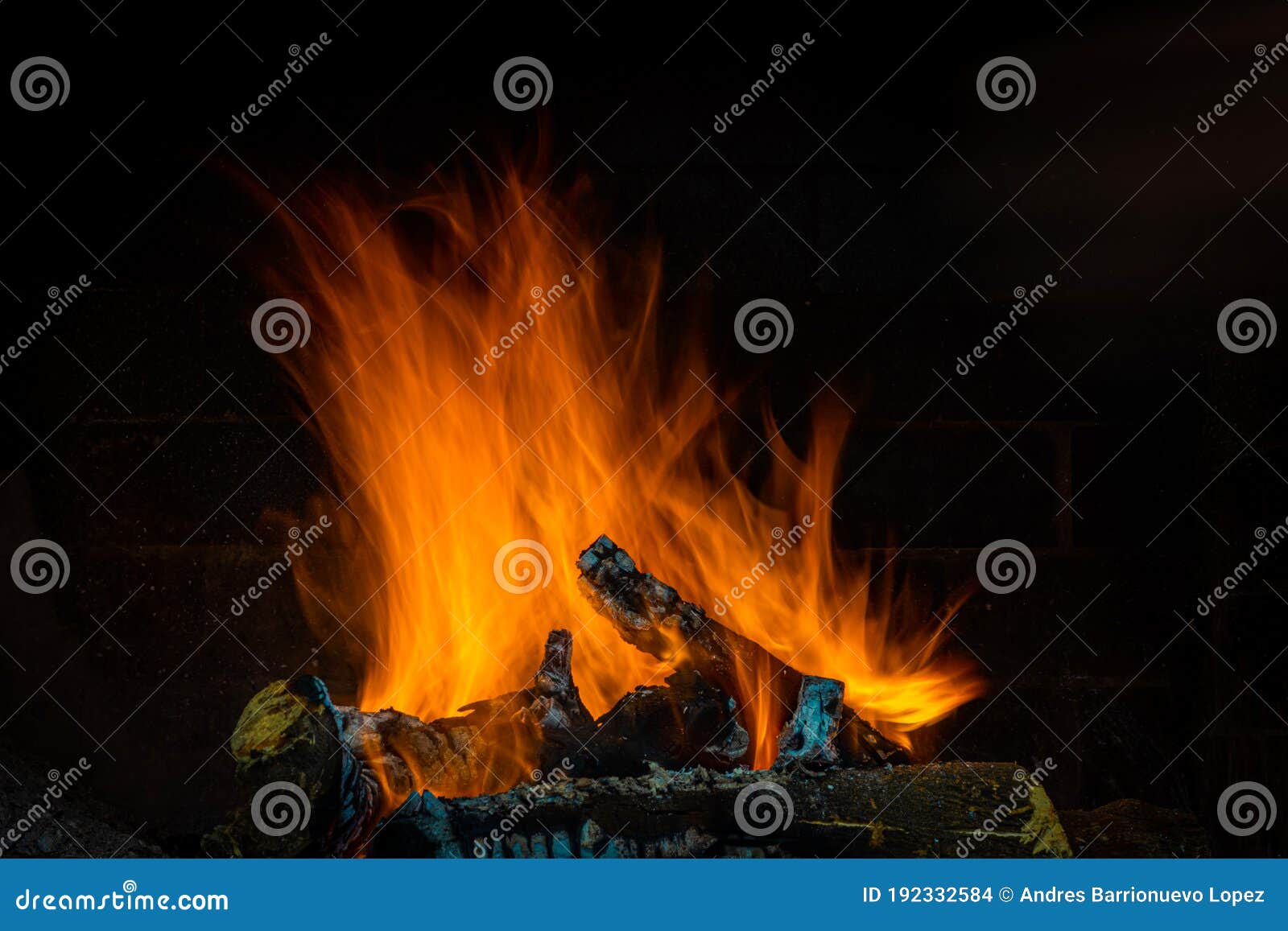 Flames in Different Forms of a Bonfire Made with Orange Tree Trunks in ...