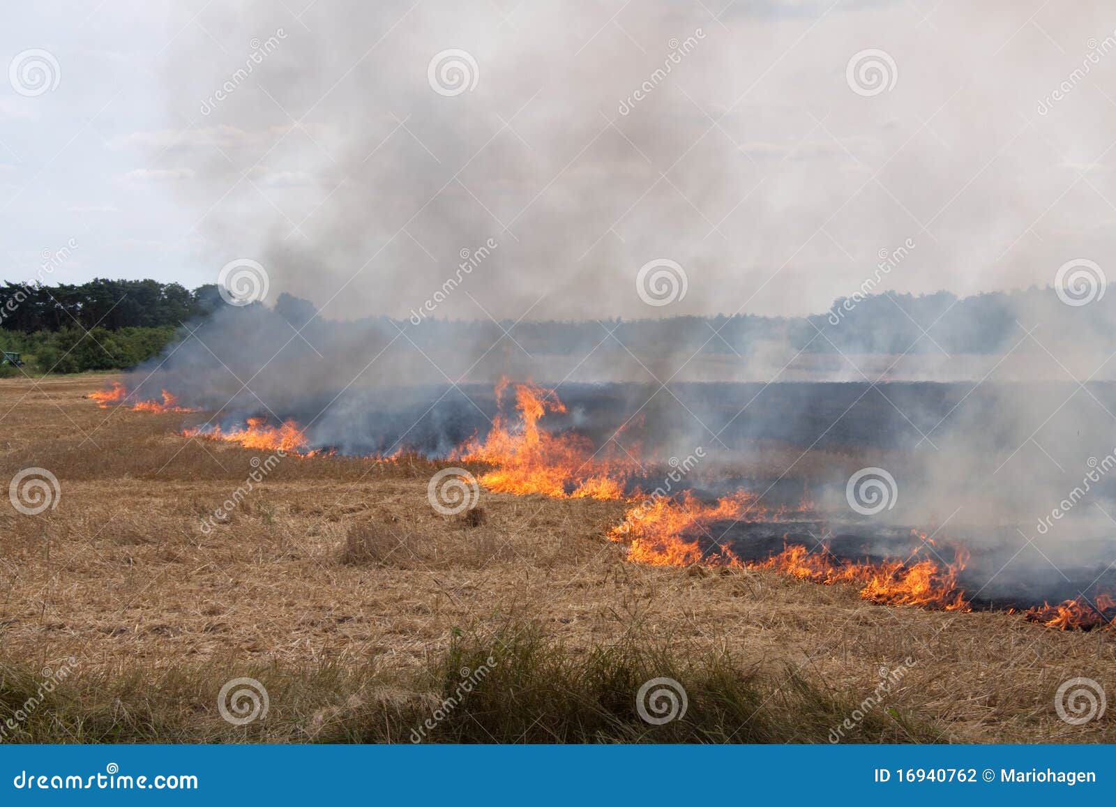 Flames of a Field Fire stock photo. Image of famine, brand - 16940762
